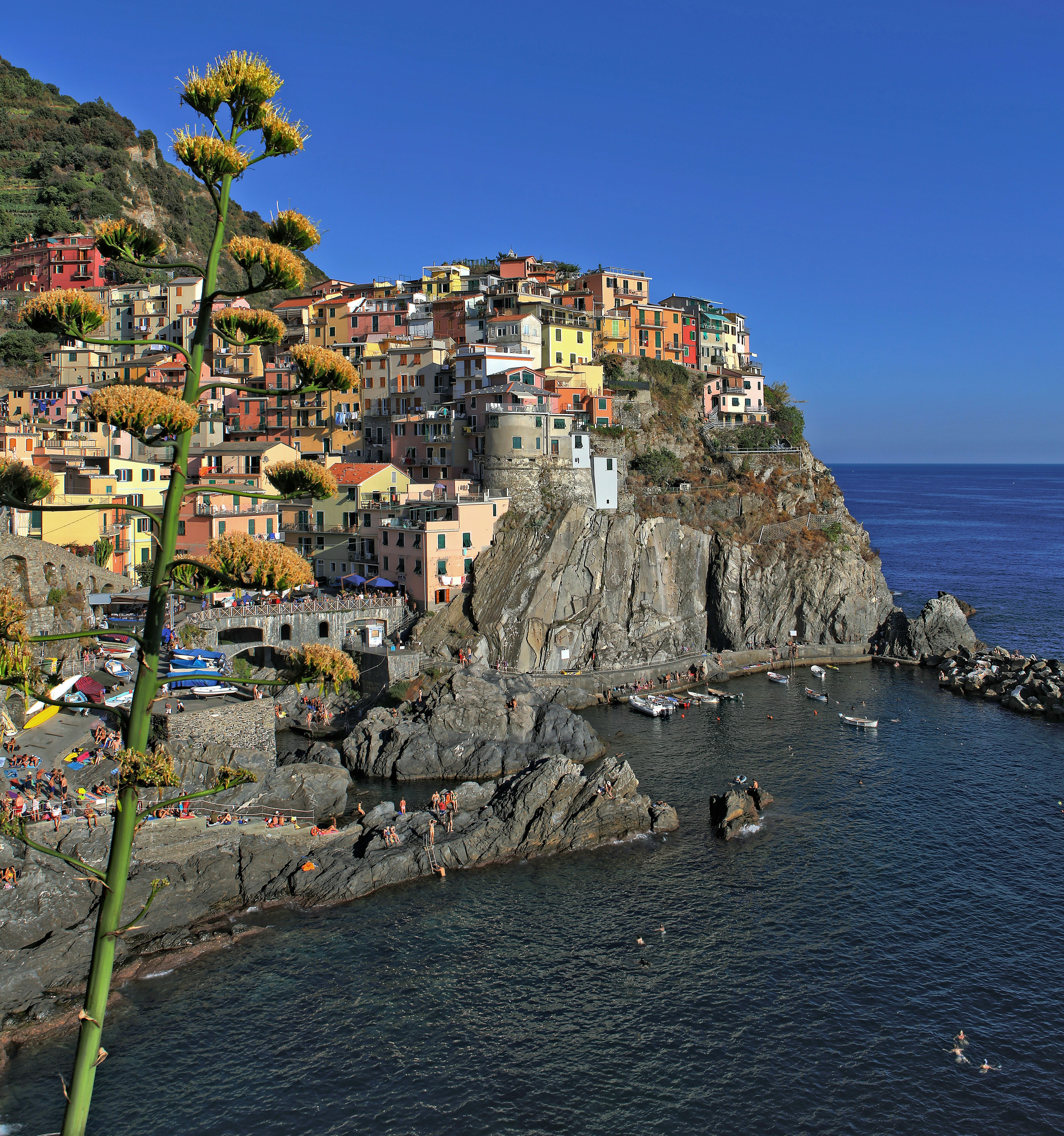 Vibrant coastal village nestled on rocky cliffs, with colorful houses overlooking a serene bay. A tall plant in the foreground adds a natural touch.