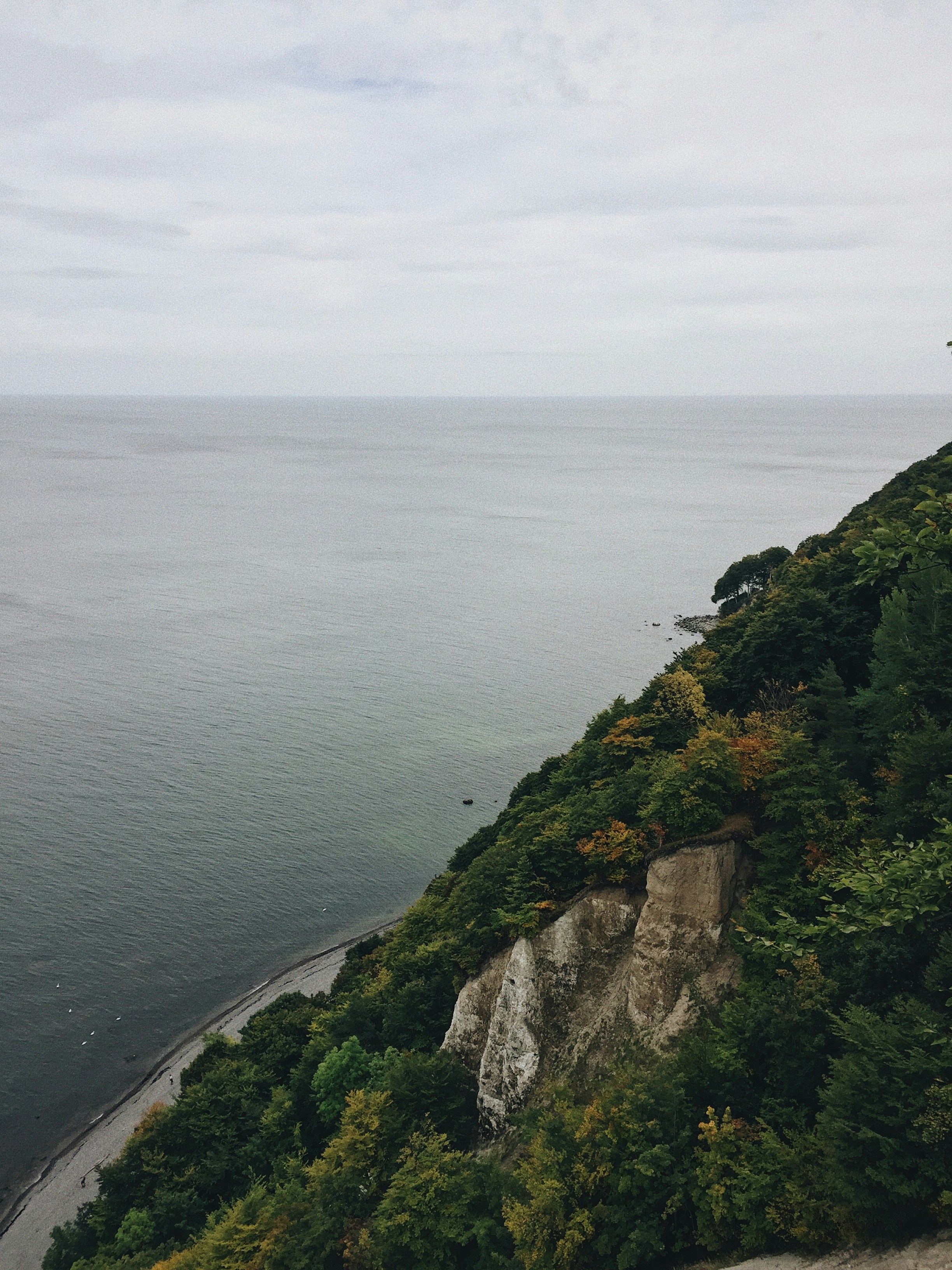 Cliffside Cove: A Quiet Horizon Over the Sea