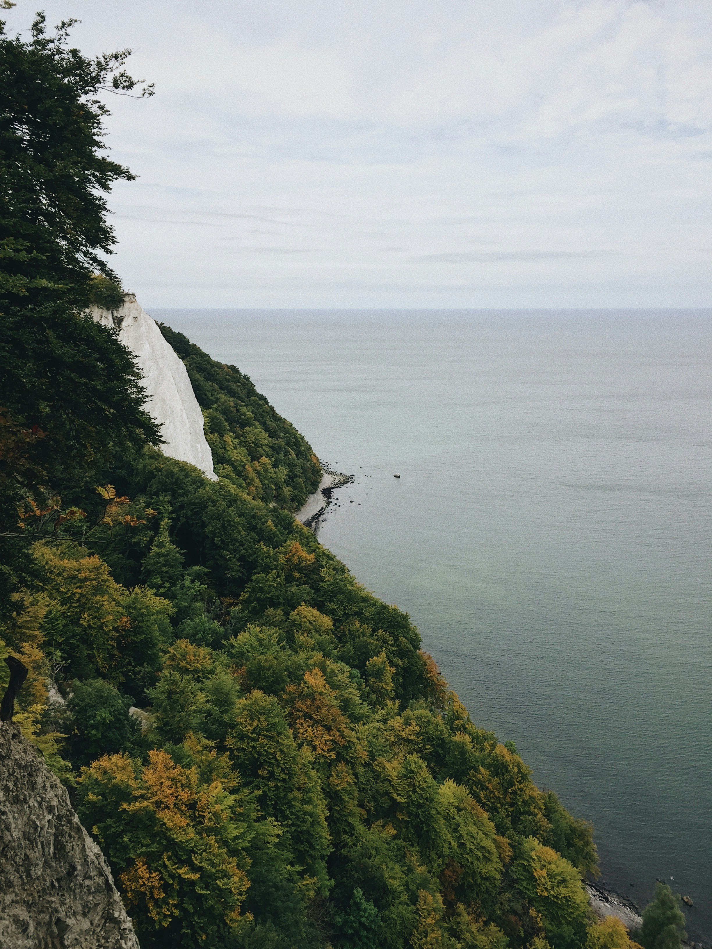 Vibrant autumn foliage contrasts with the serene sea and towering cliffs. A peaceful coastal landscape showcasing the beauty of nature's transitions.