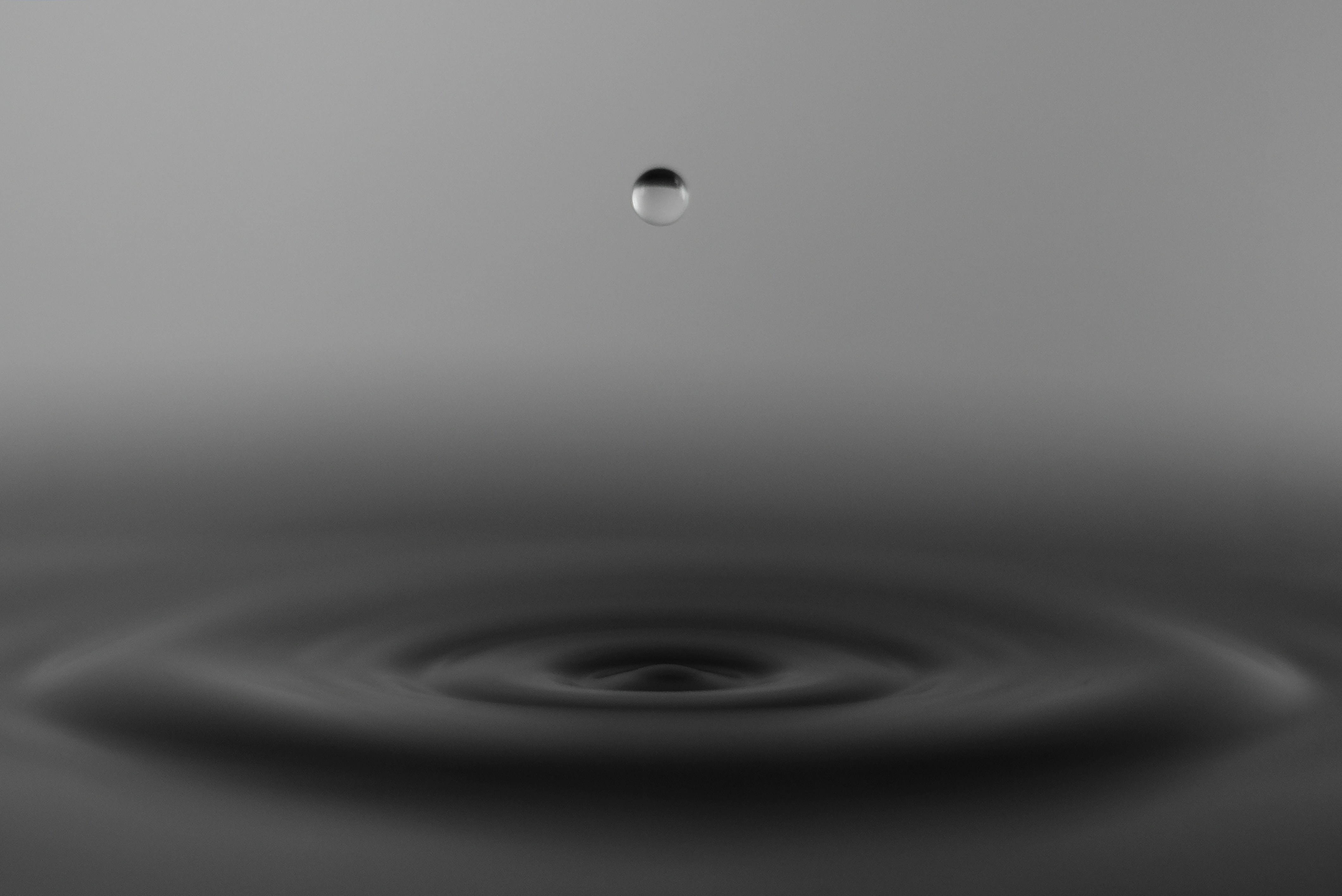 The last drop | water dew