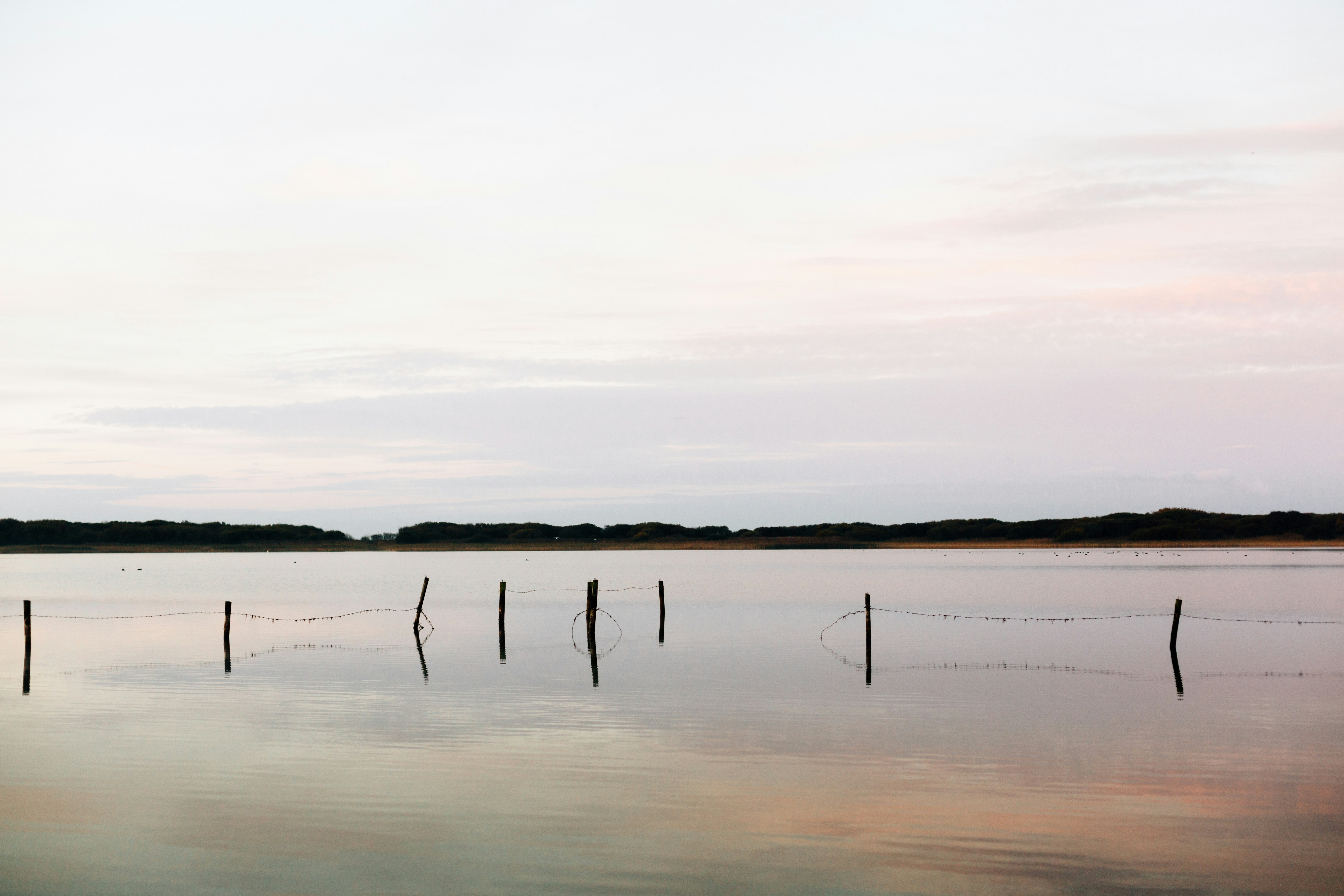 Calm water reflecting distant land with wooden posts emerging from the surface, creating a serene landscape. Soft pastel hues blend in the twilight sky.