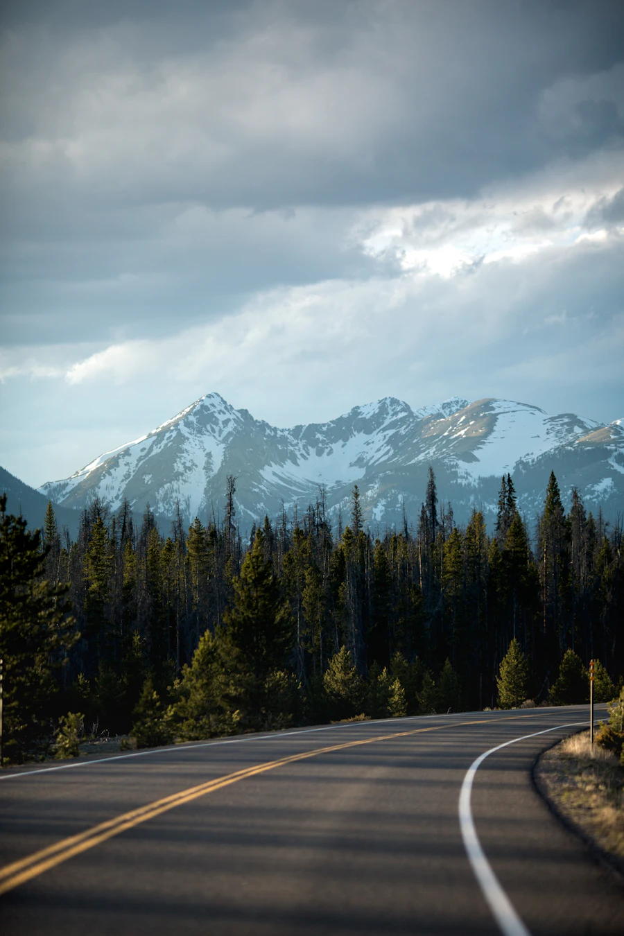 A winding two-lane road leads through a dark pine forest toward snow-dusted mountain peaks beneath a moody, cloud-filled sky.