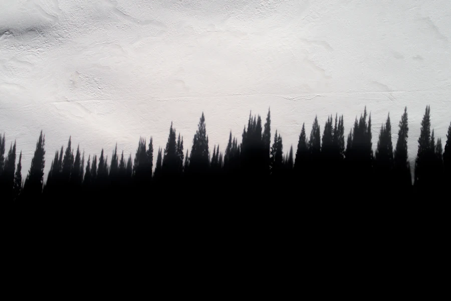 Dark silhouettes of pine trees create a striking contrast against a soft, cloudy sky. The image captures the serene boundary between forest and atmosphere.