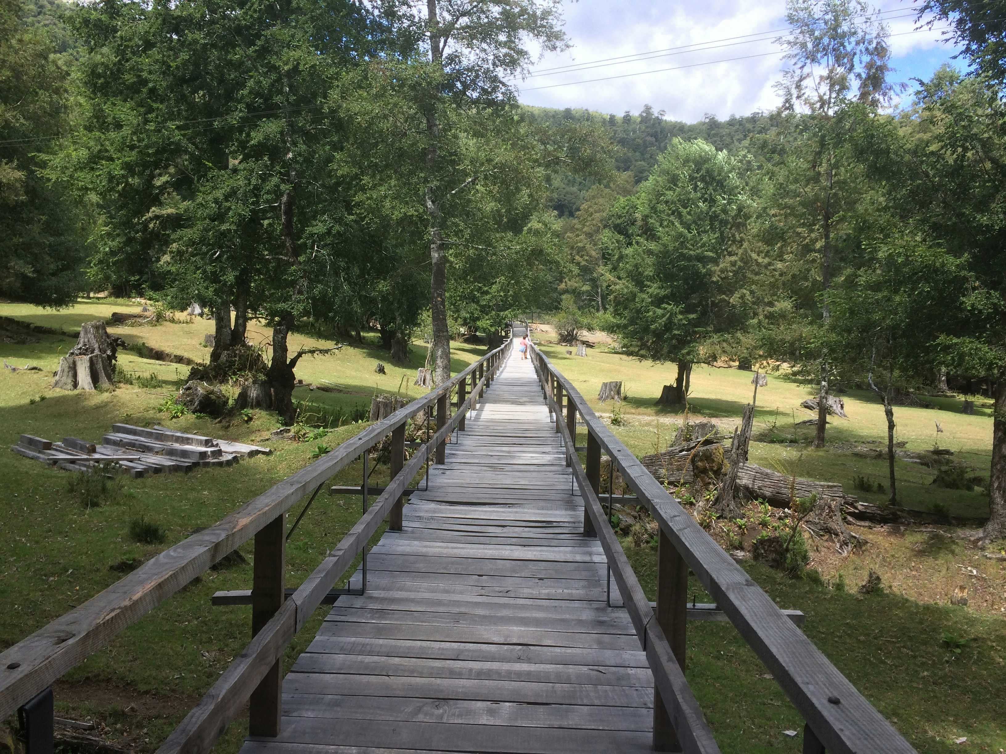 mauro mora (@mauromora) | Unsplash 사진 커뮤니티
