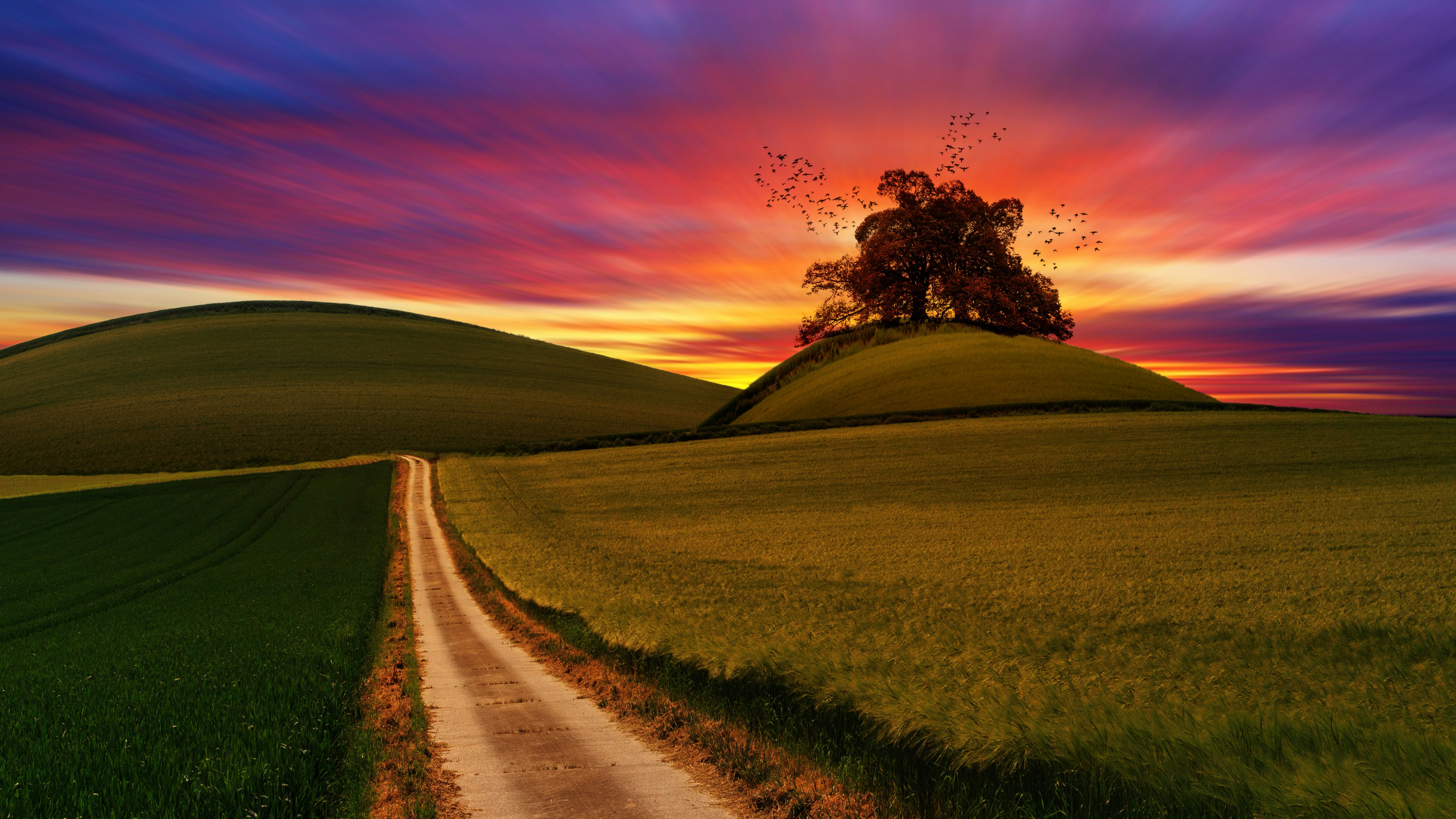 A winding dirt road leads through lush fields toward a solitary tree atop a hill, illuminated by a vibrant sunset sky filled with swirling colors.