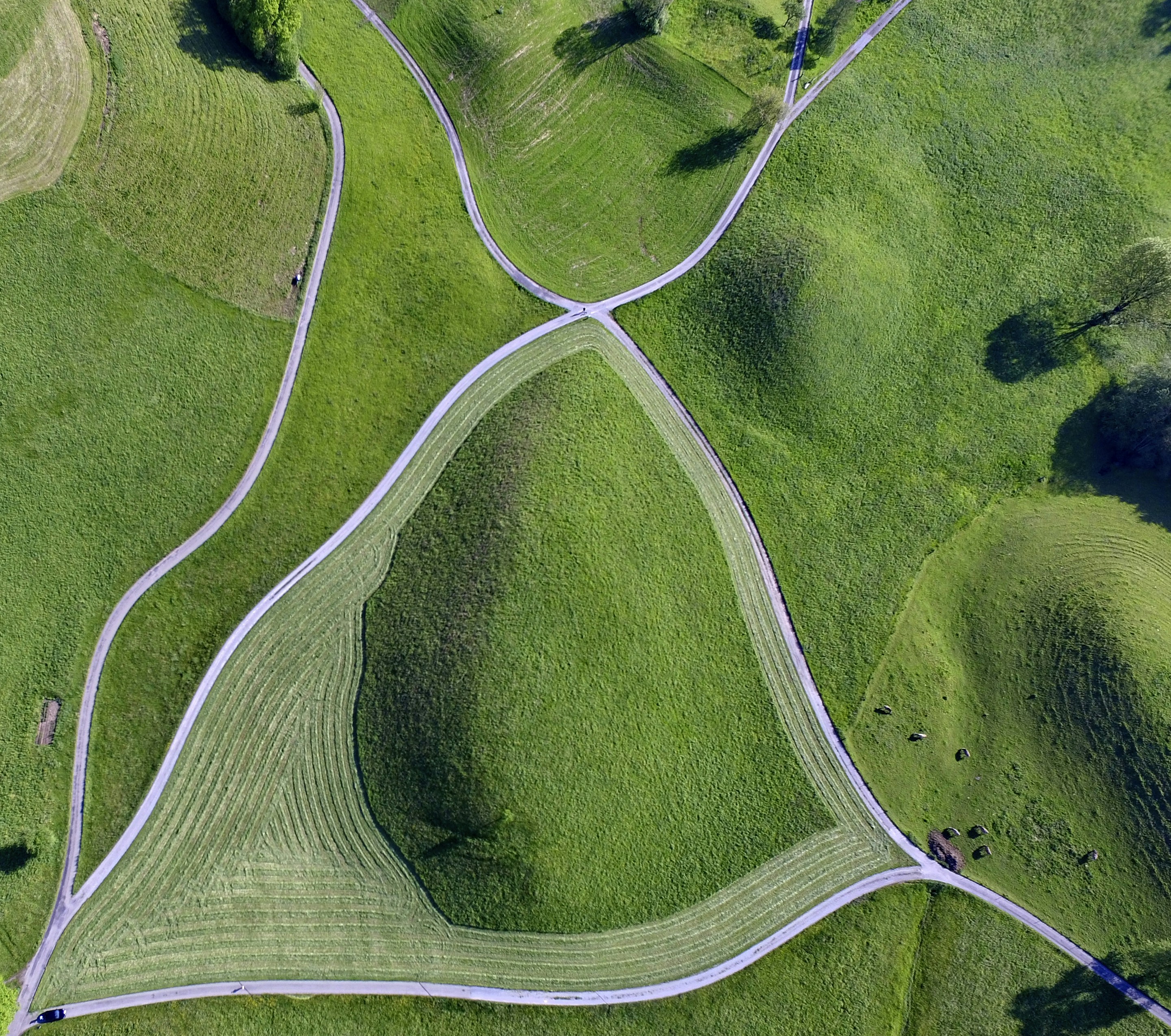 Aerial view of rolling green hills intersected by winding paths, showcasing a harmonious blend of nature and human design.