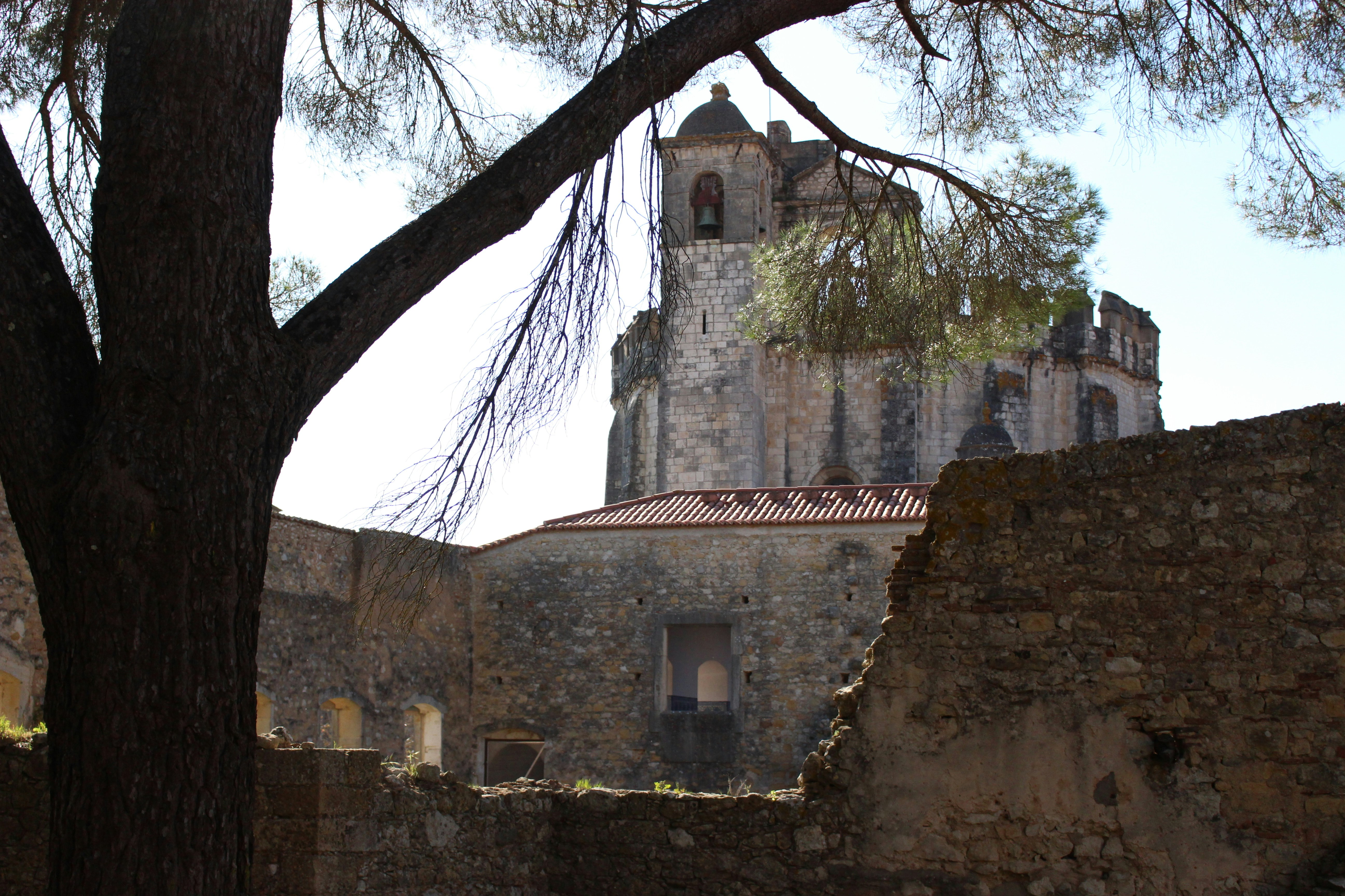 Christopher John Pratt (@nextsolution) | Comunidad de fotos de Unsplash