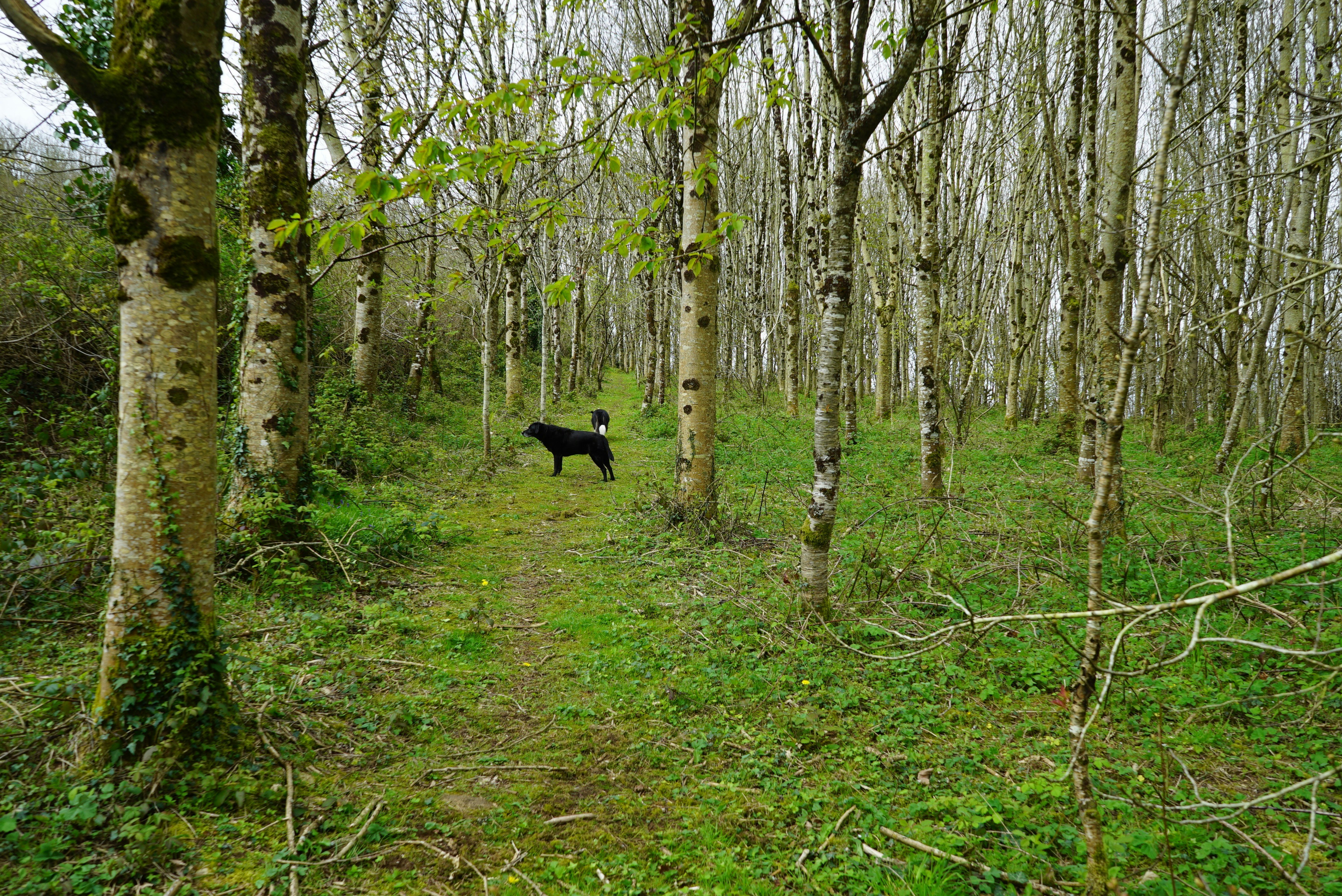 Jacob Creswick (@jacob1c) | Comunidad de fotos de Unsplash