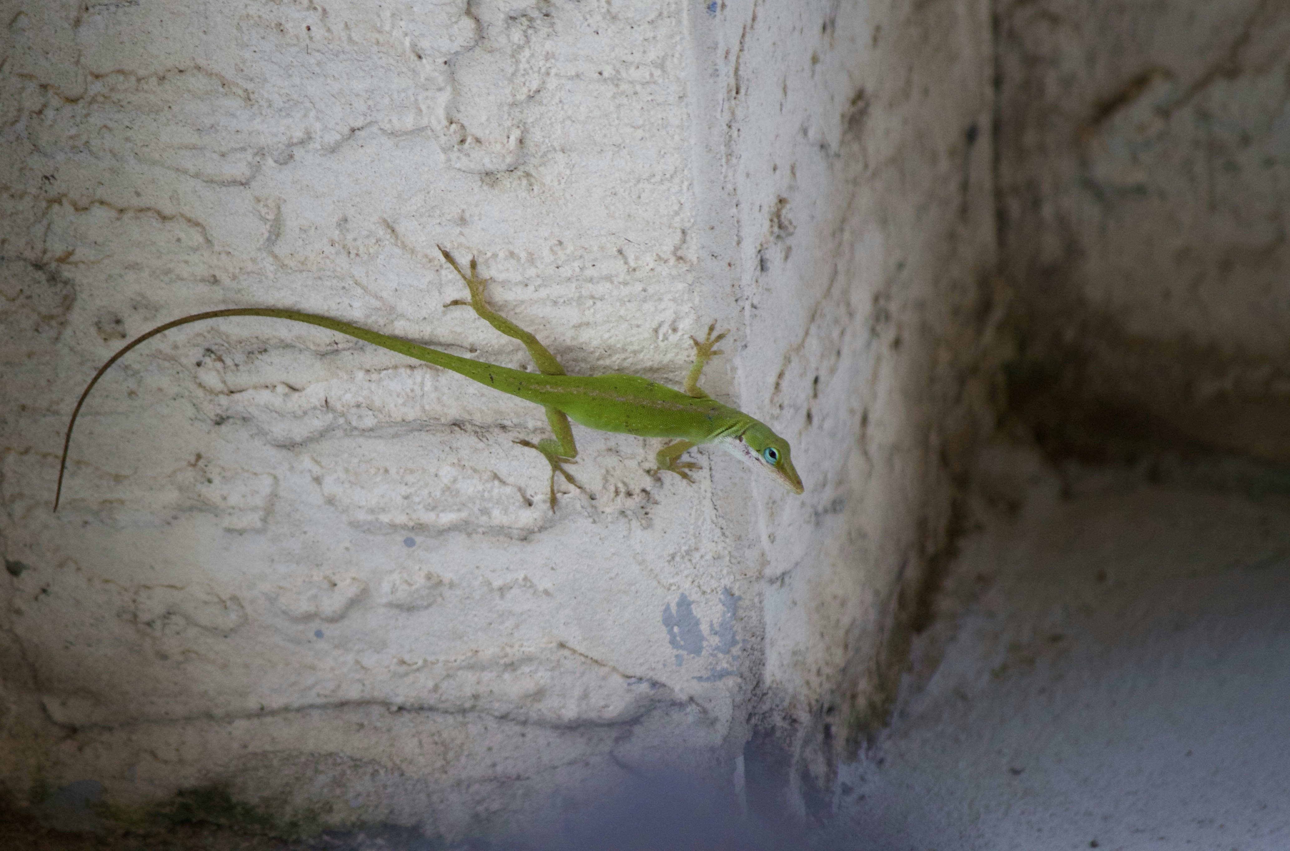 Bora Burri (@borapic) | Unsplash Photo Community