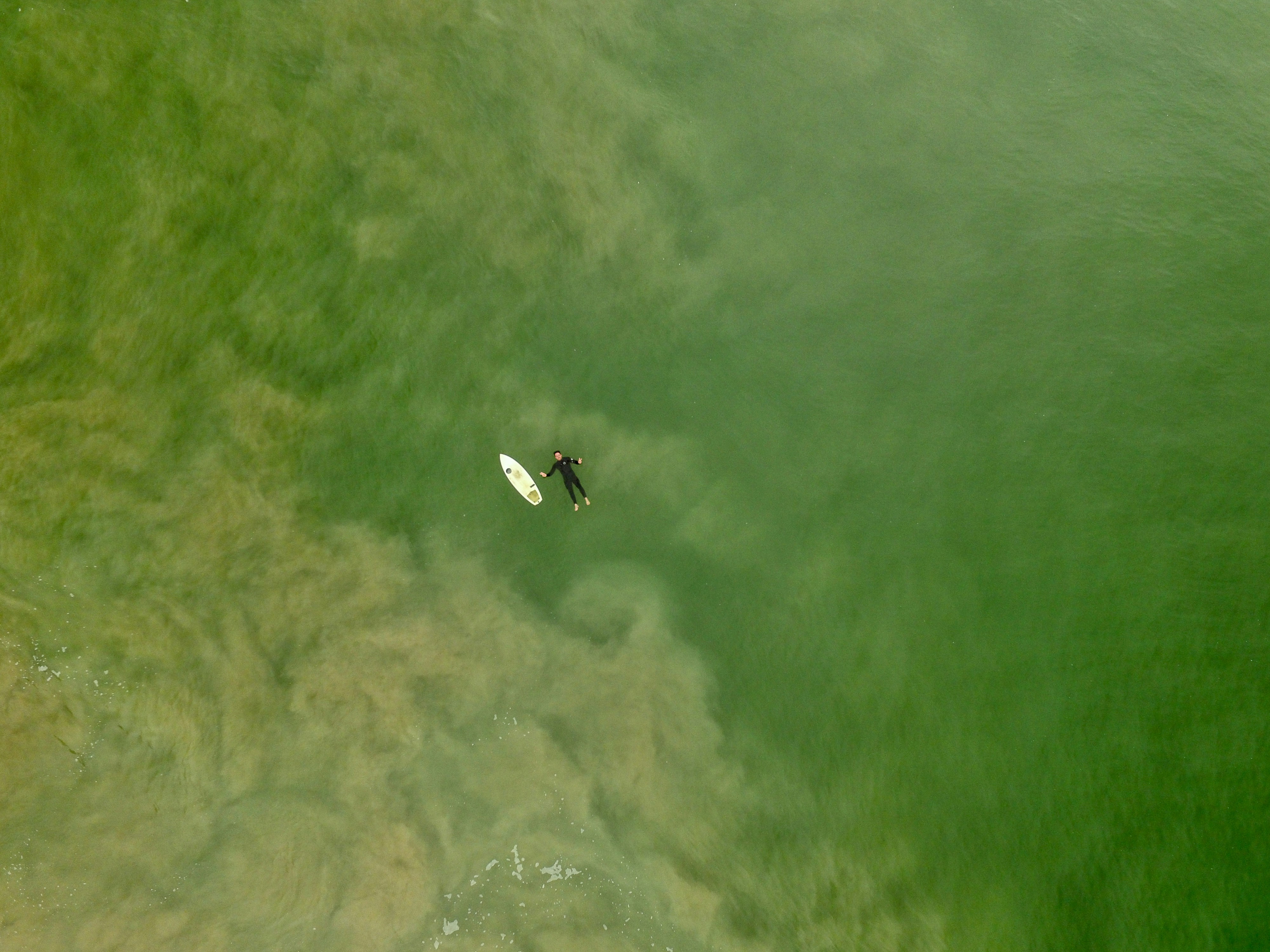 Définition de talocher | Dictionnaire français