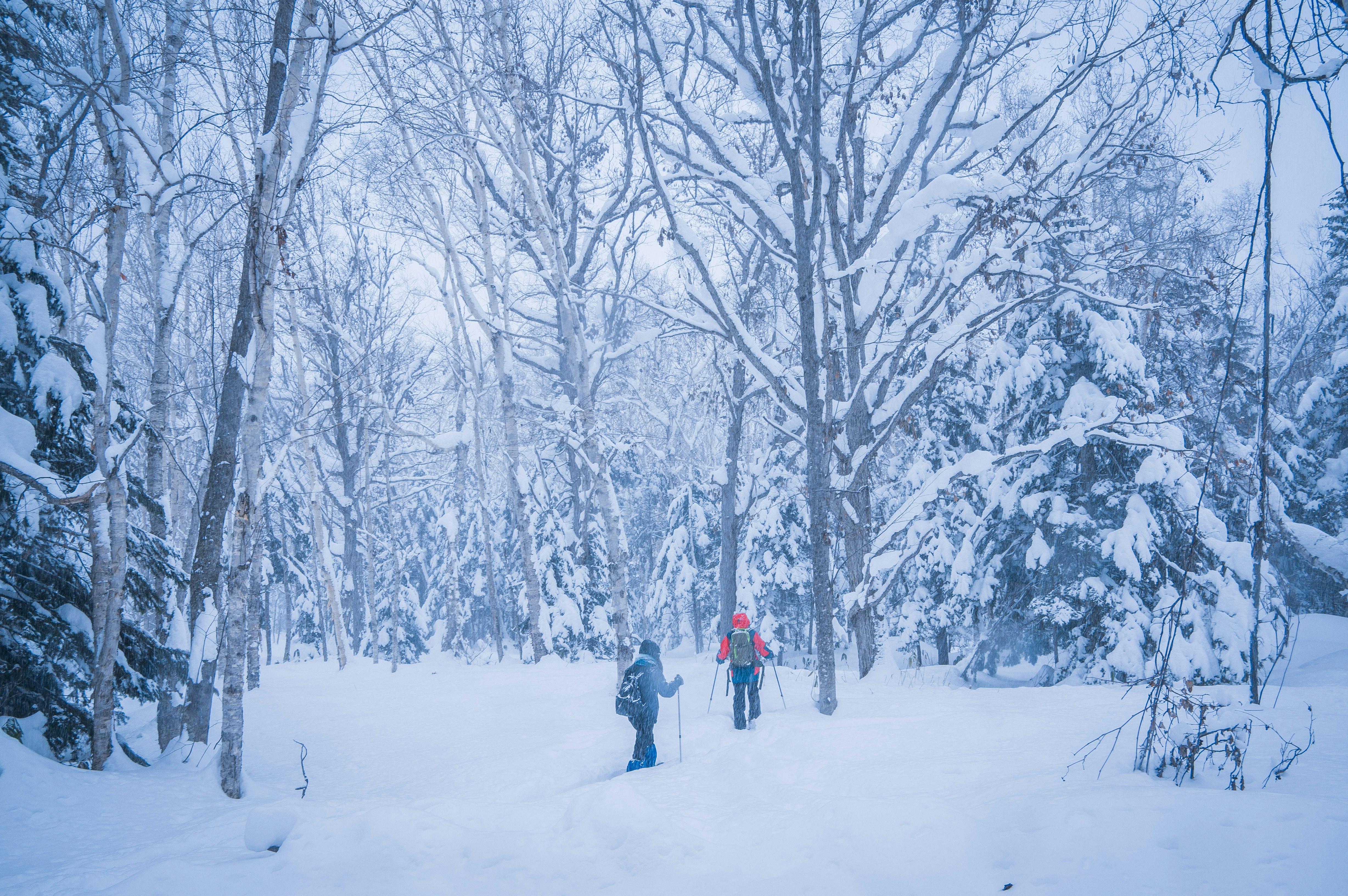 Meiying Ng (@meiying) | Unsplash Photo Community