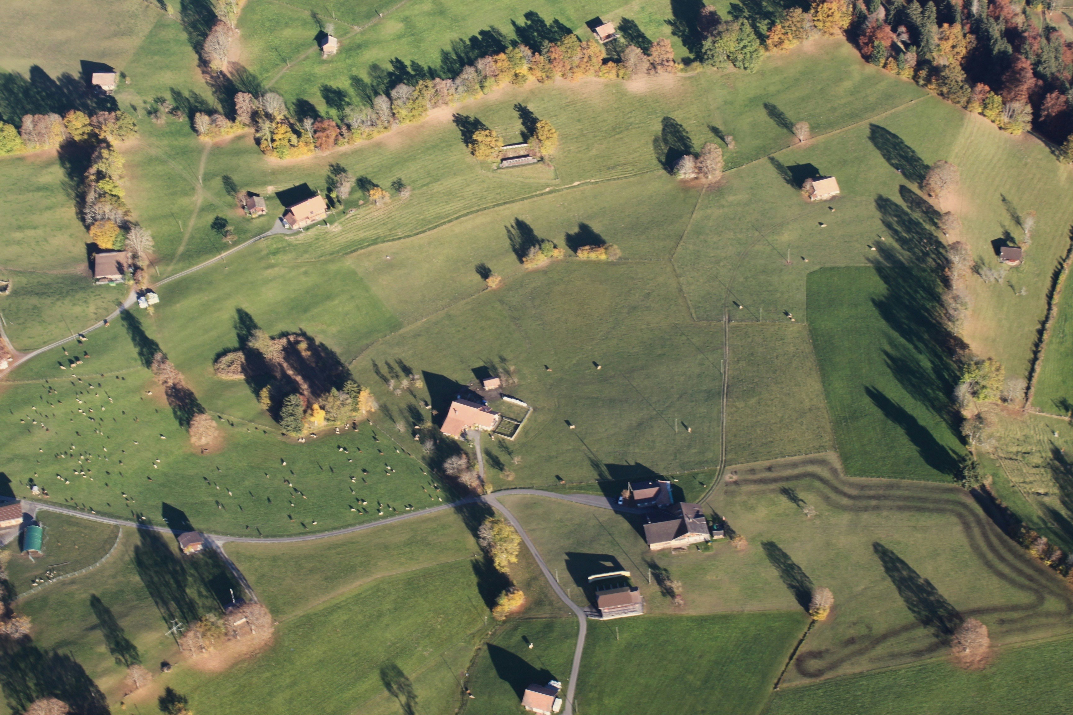 Bora Burri (@borapic) | Unsplash Photo Community