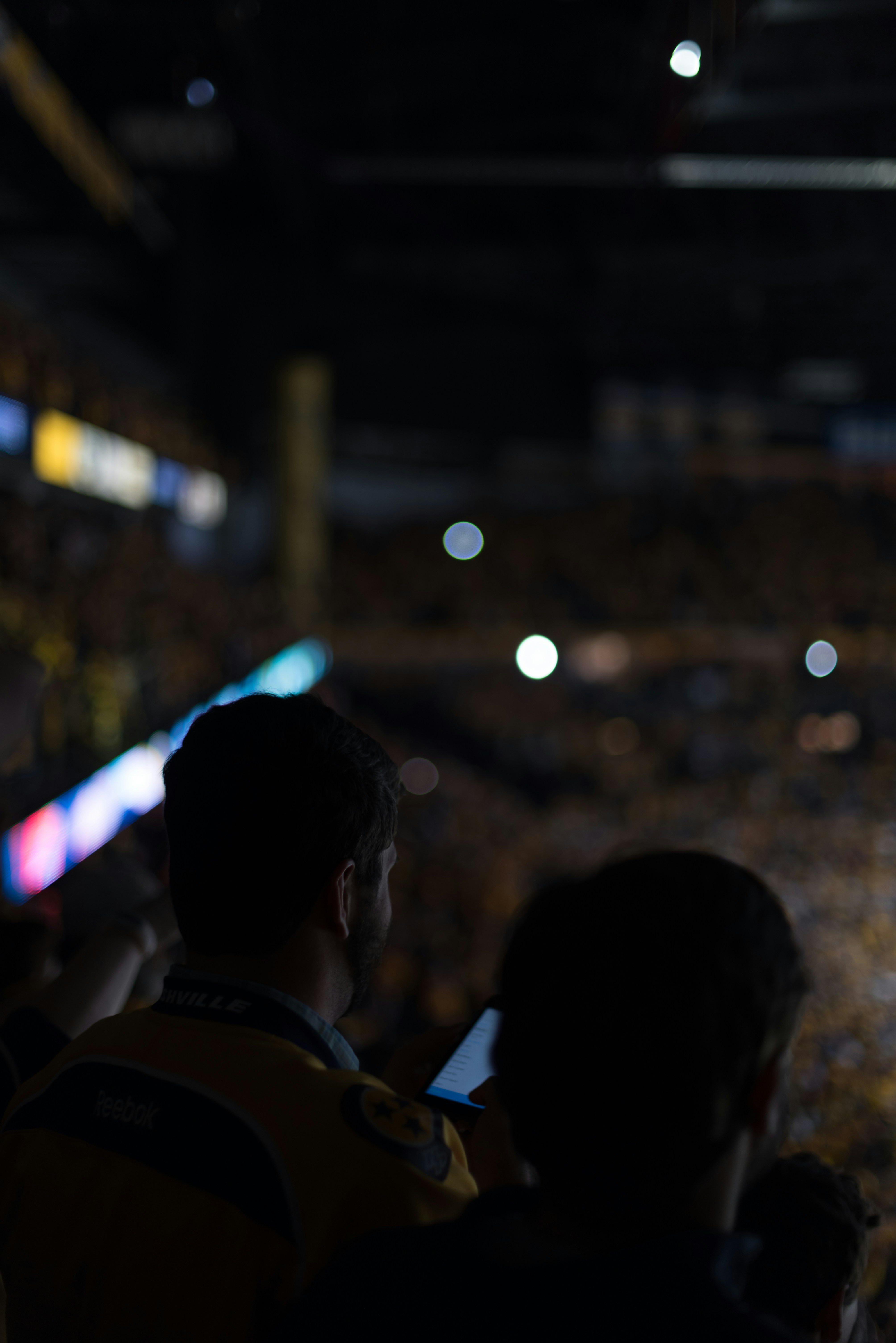 Fans immersed in a lively arena, with one person focused on their phone amidst a vibrant crowd. 