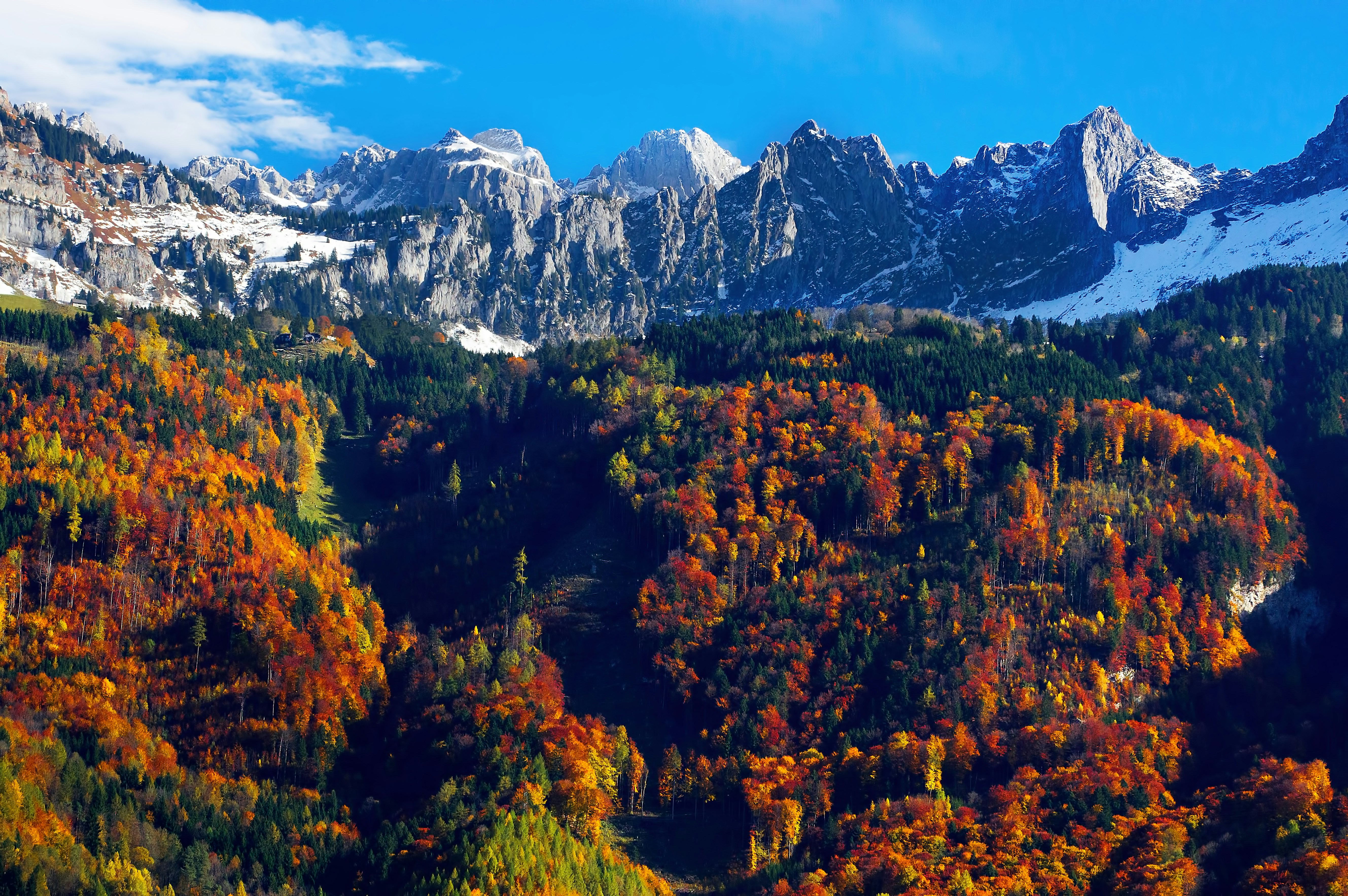 Vibrant autumn foliage blankets the foothills beneath snow-capped alpine peaks under a clear blue sky.