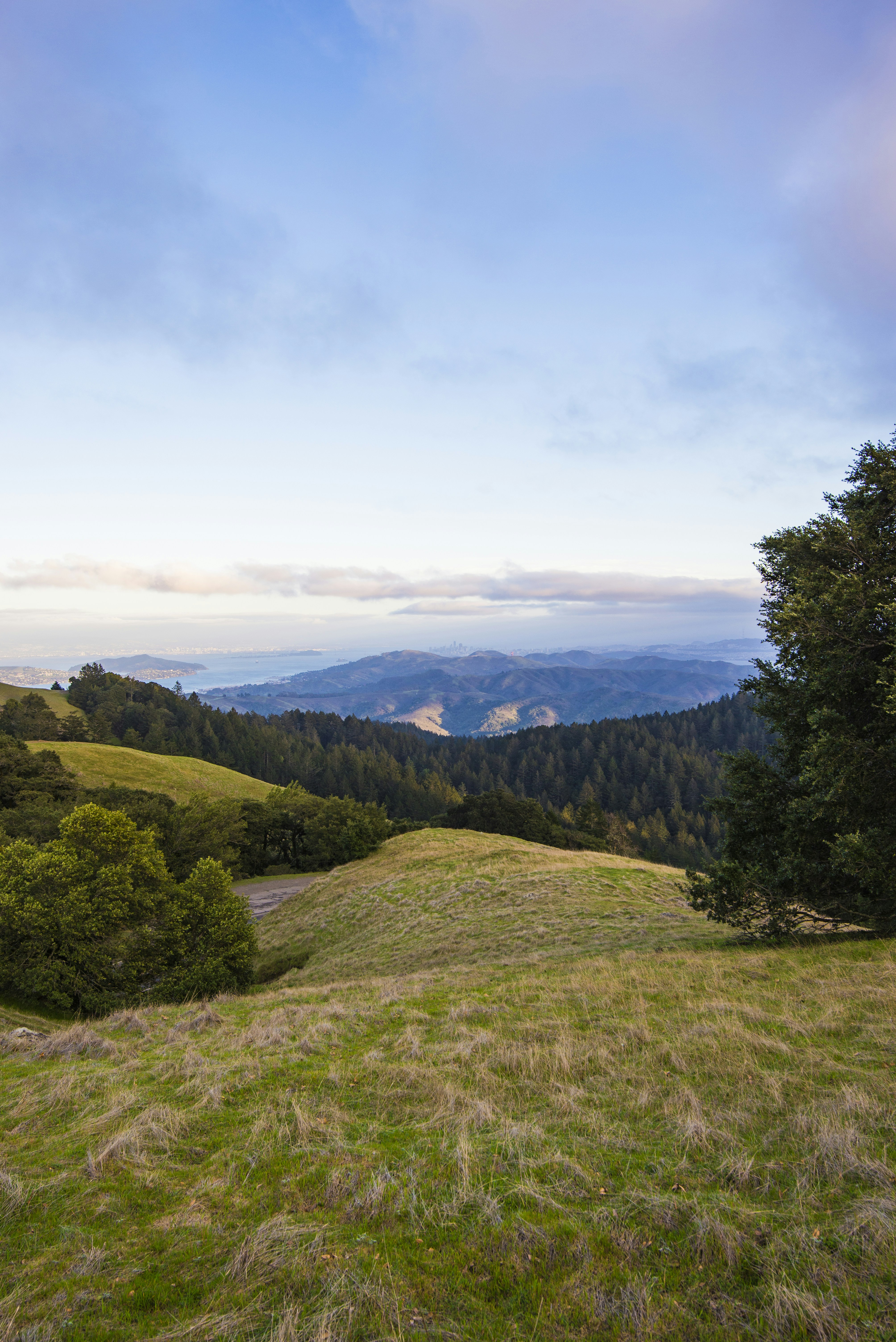 Vast green hills stretch towards a distant mountain range under a soft blue sky. The scene captures the serene beauty of nature in a tranquil setting.