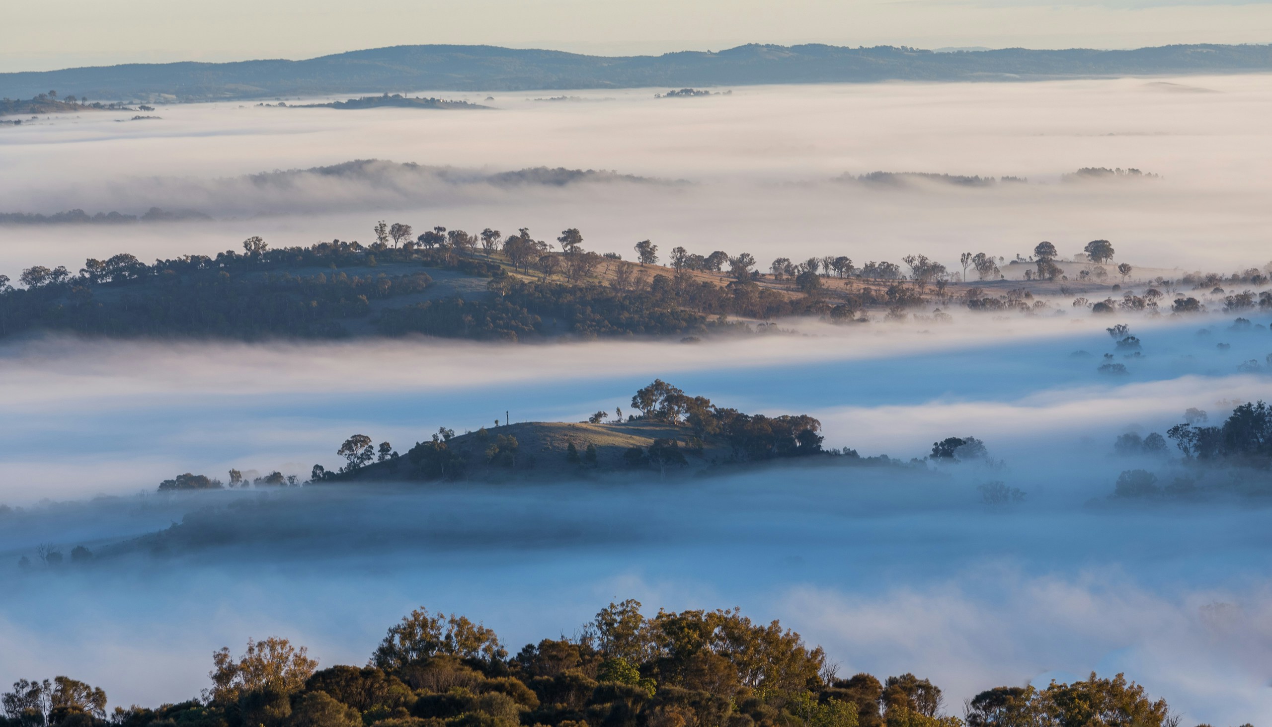 Veil of Mist over Rolling Hills