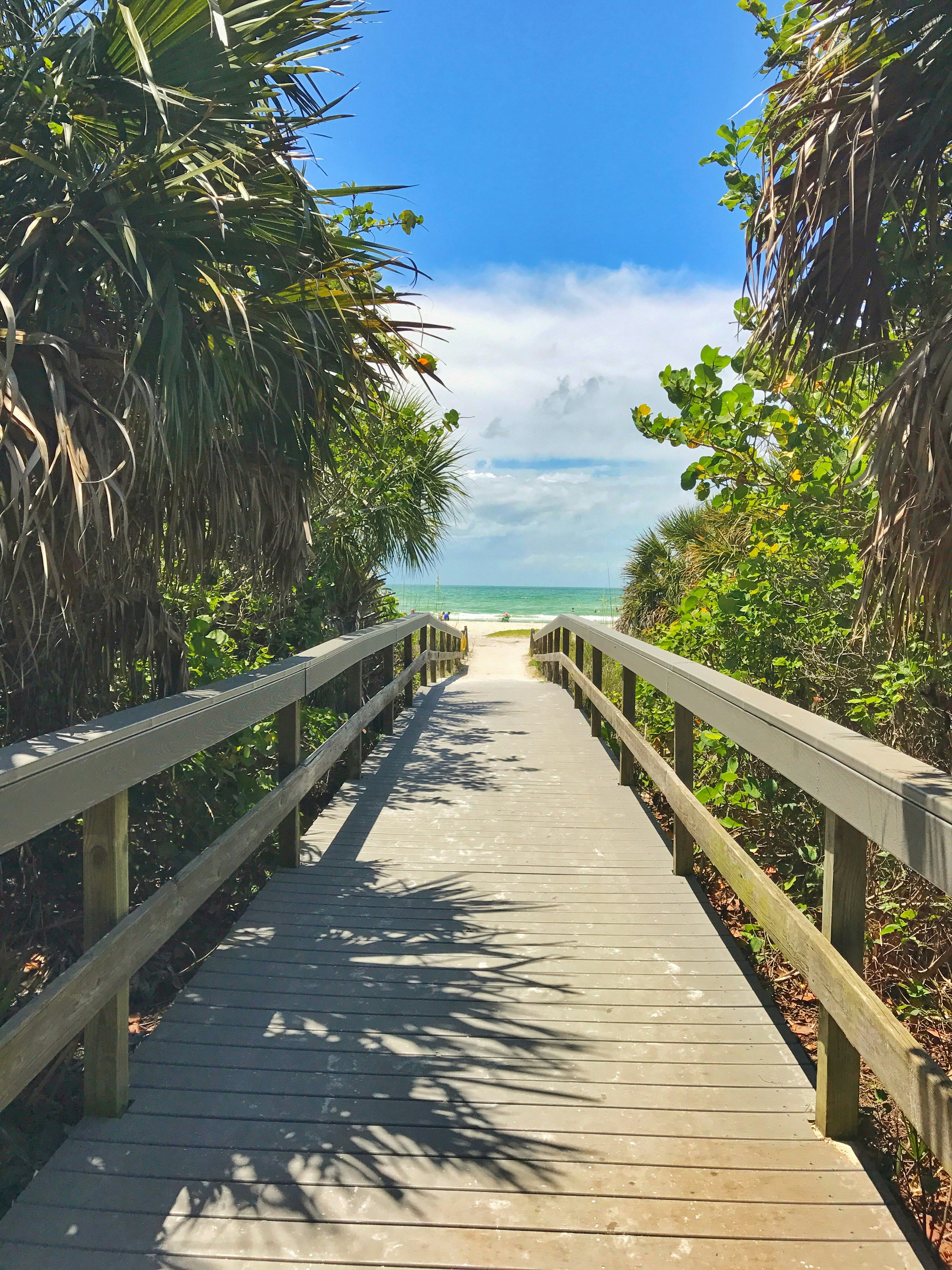 Tropical | 12 best free tropical, beach, florida and united state ...