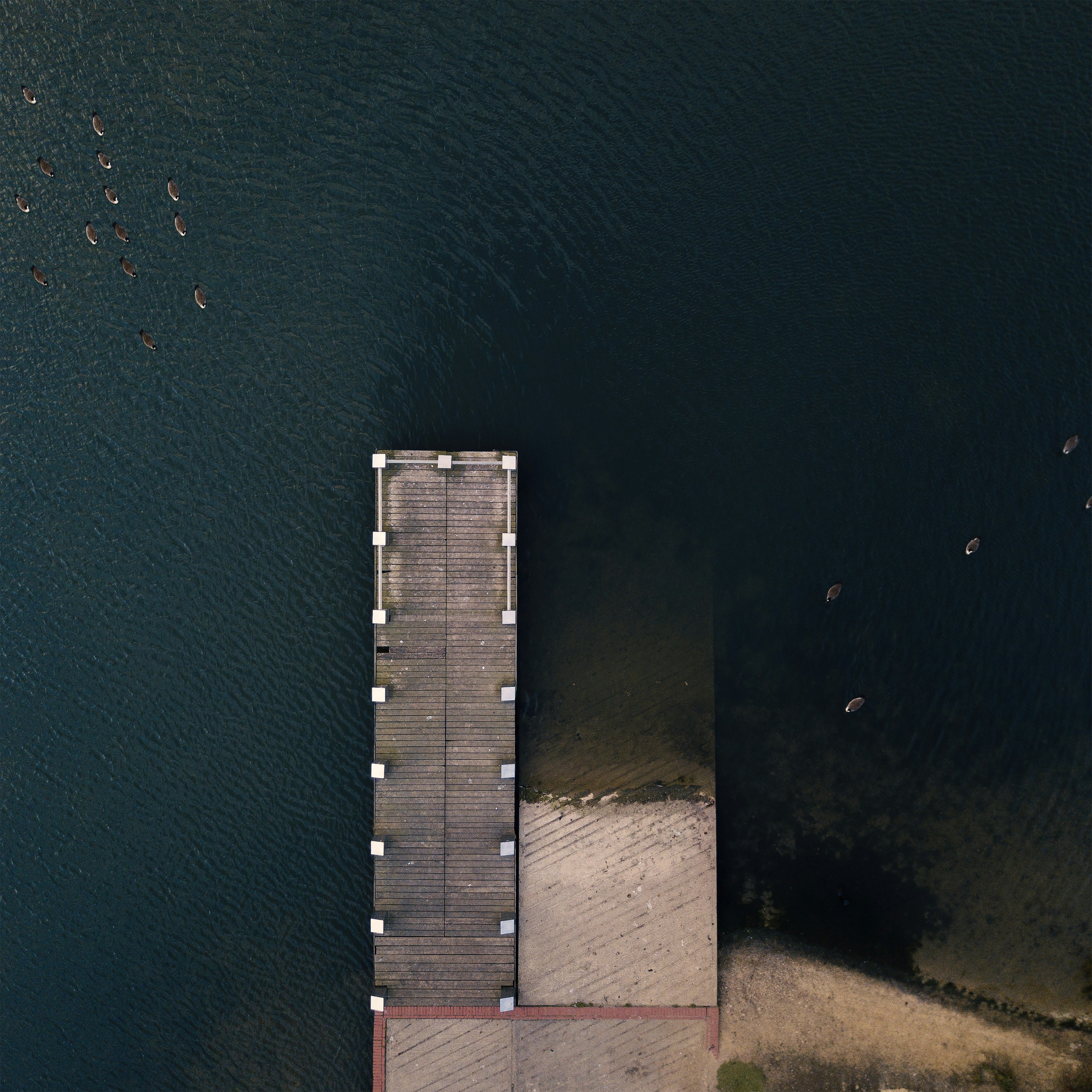 Aerial view of a dock extending into a tranquil body of water, surrounded by a scattering of ducks. The contrast between the dock's structure and the dark water creates a striking visual balance.
