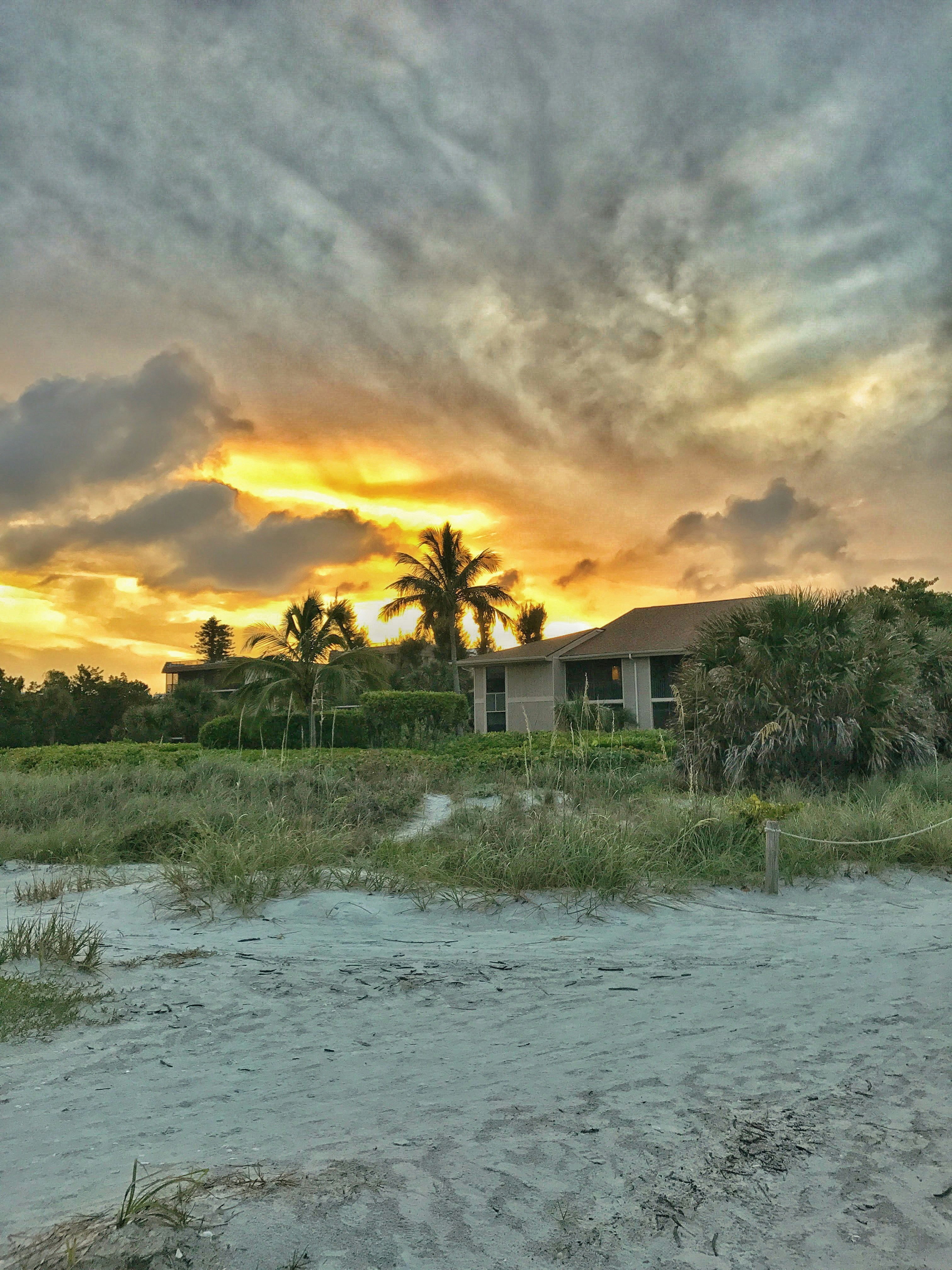 Tropical | 12 best free tropical, beach, florida and united state ...