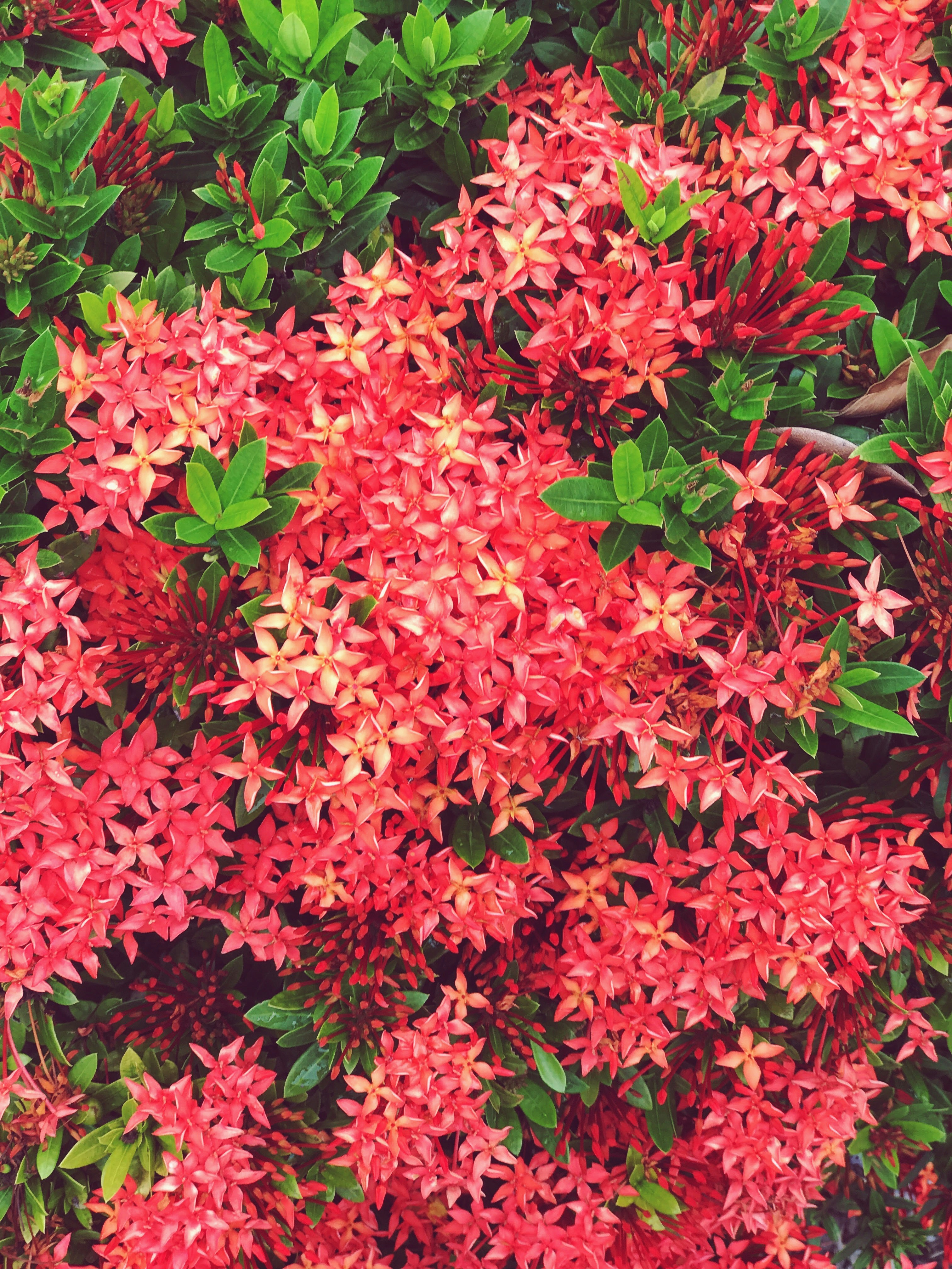 Tropical | 12 best free tropical, beach, florida and united state ...