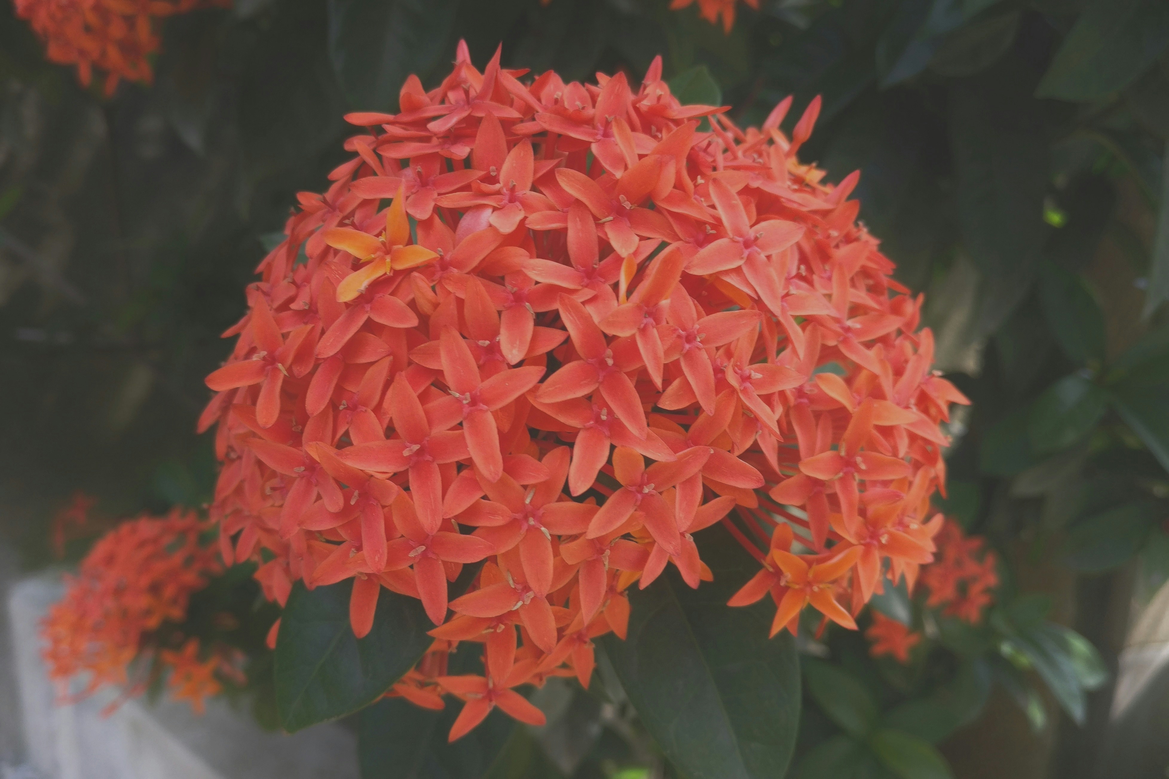 Deepak Kamat (@xxxdepy) | Komunitas Foto Unsplash