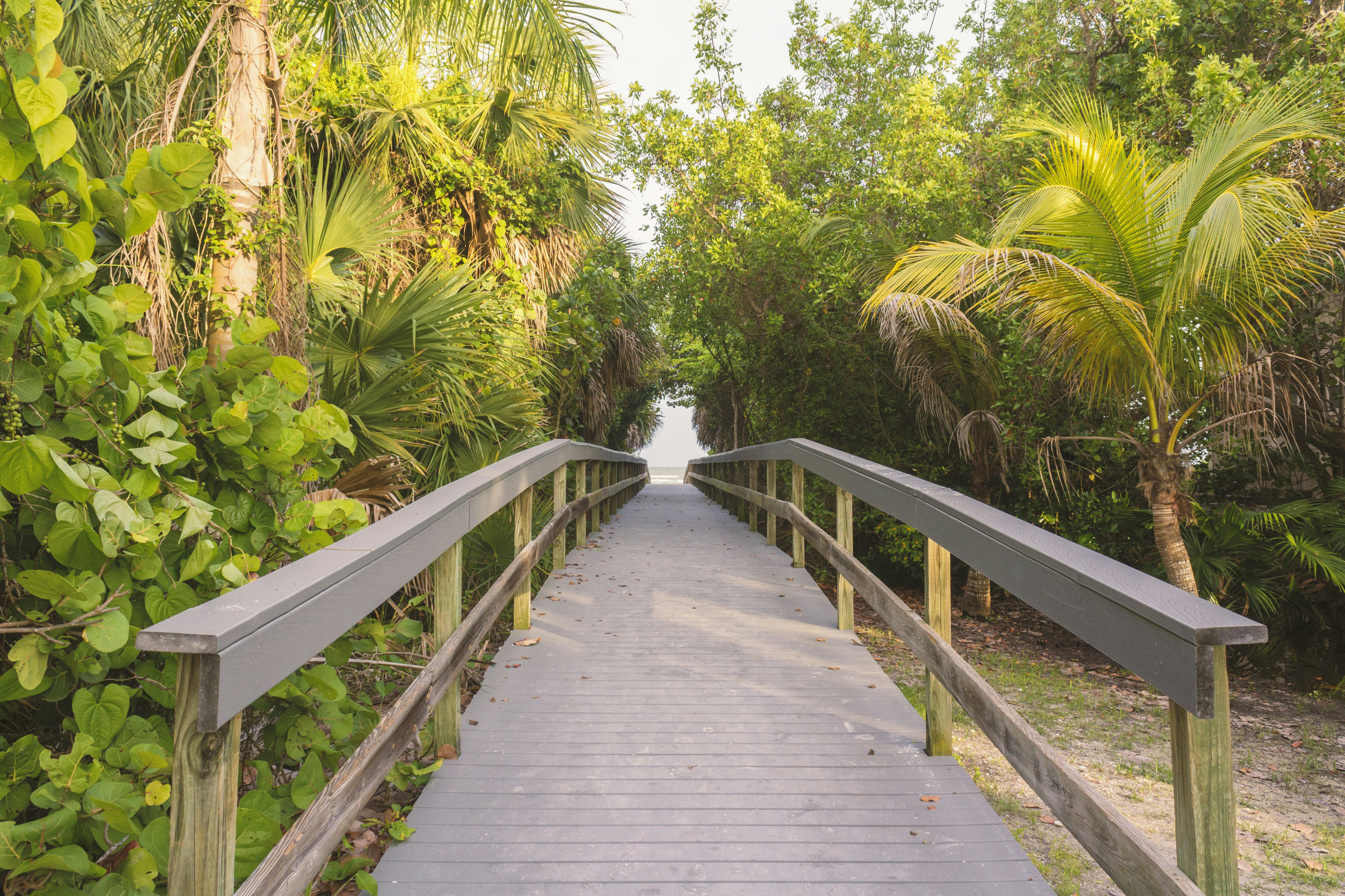 Tropical | 12 best free tropical, beach, florida and united state ...