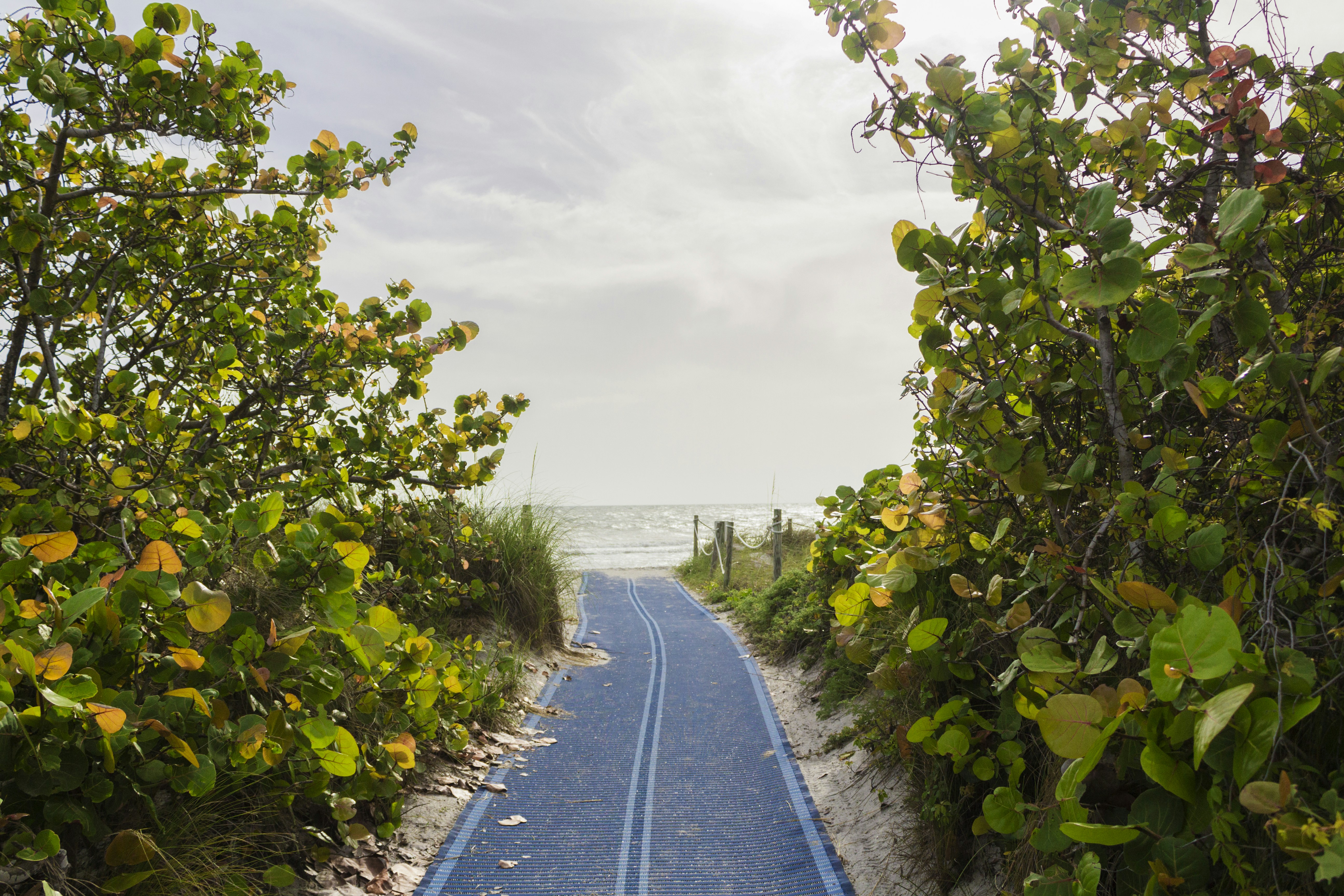 Tropical | 12 best free tropical, beach, florida and united state ...