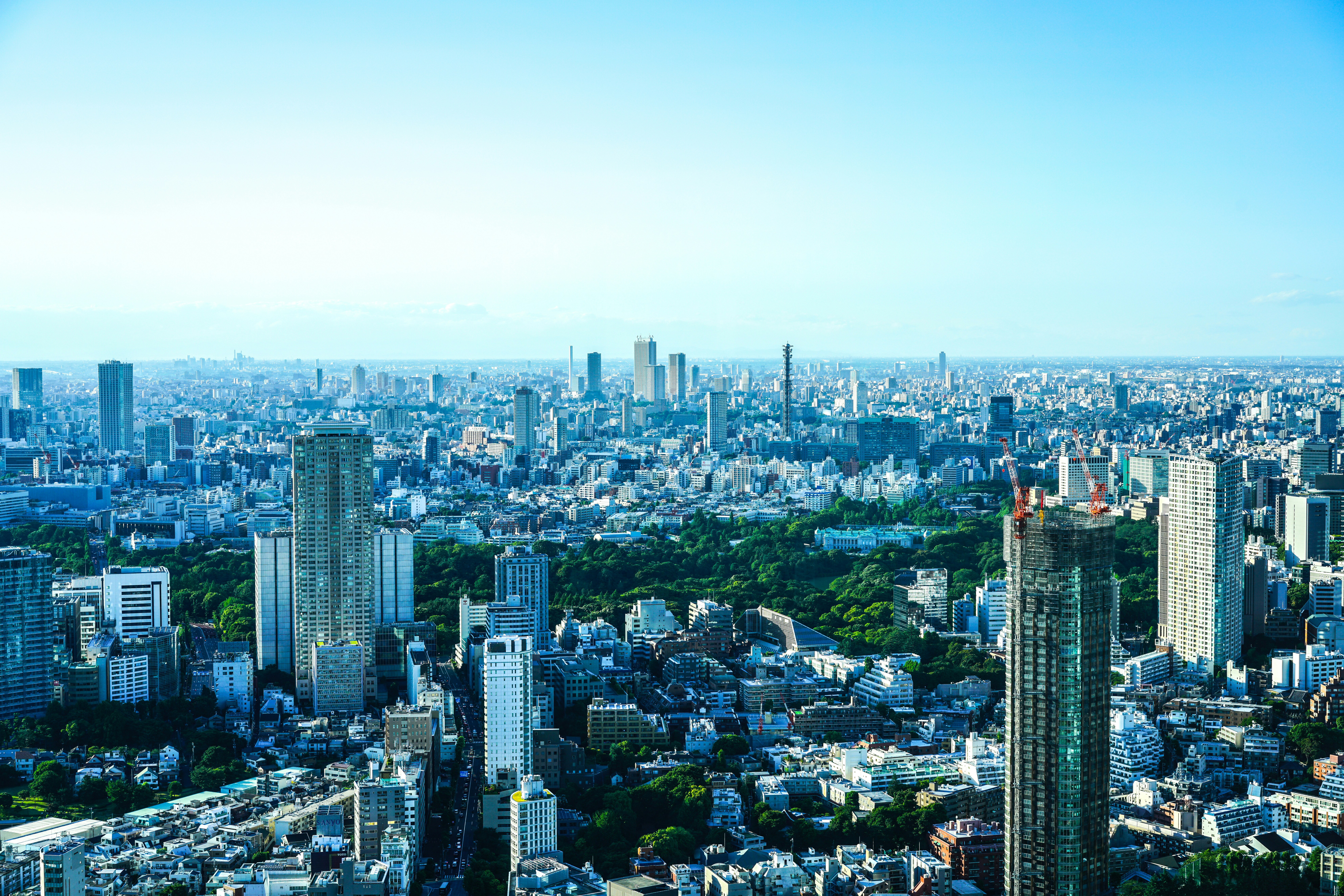 Expansive view of Tokyo's urban landscape, showcasing a blend of skyscrapers and lush greenery. The scene captures the vibrant essence of city life.