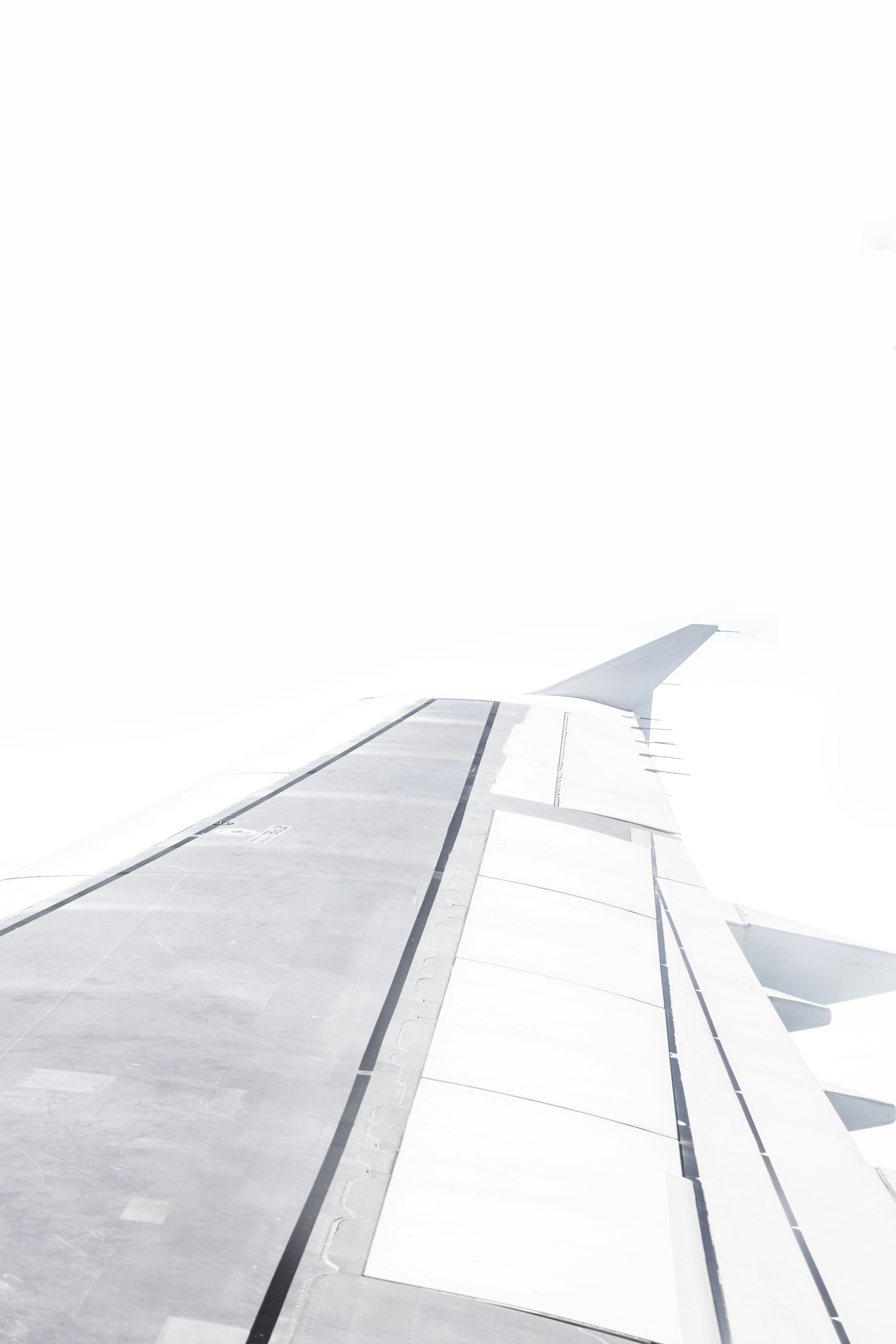 Taking Flight