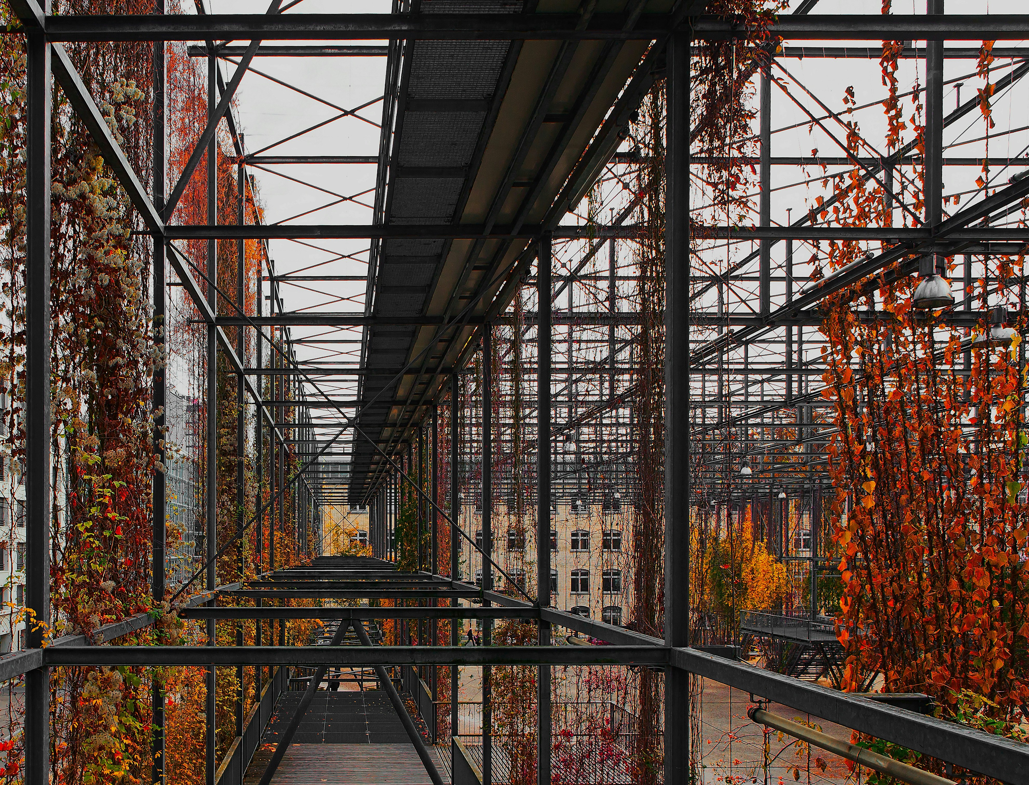 Autumn’s perspectiveRicardo Gomez Angel