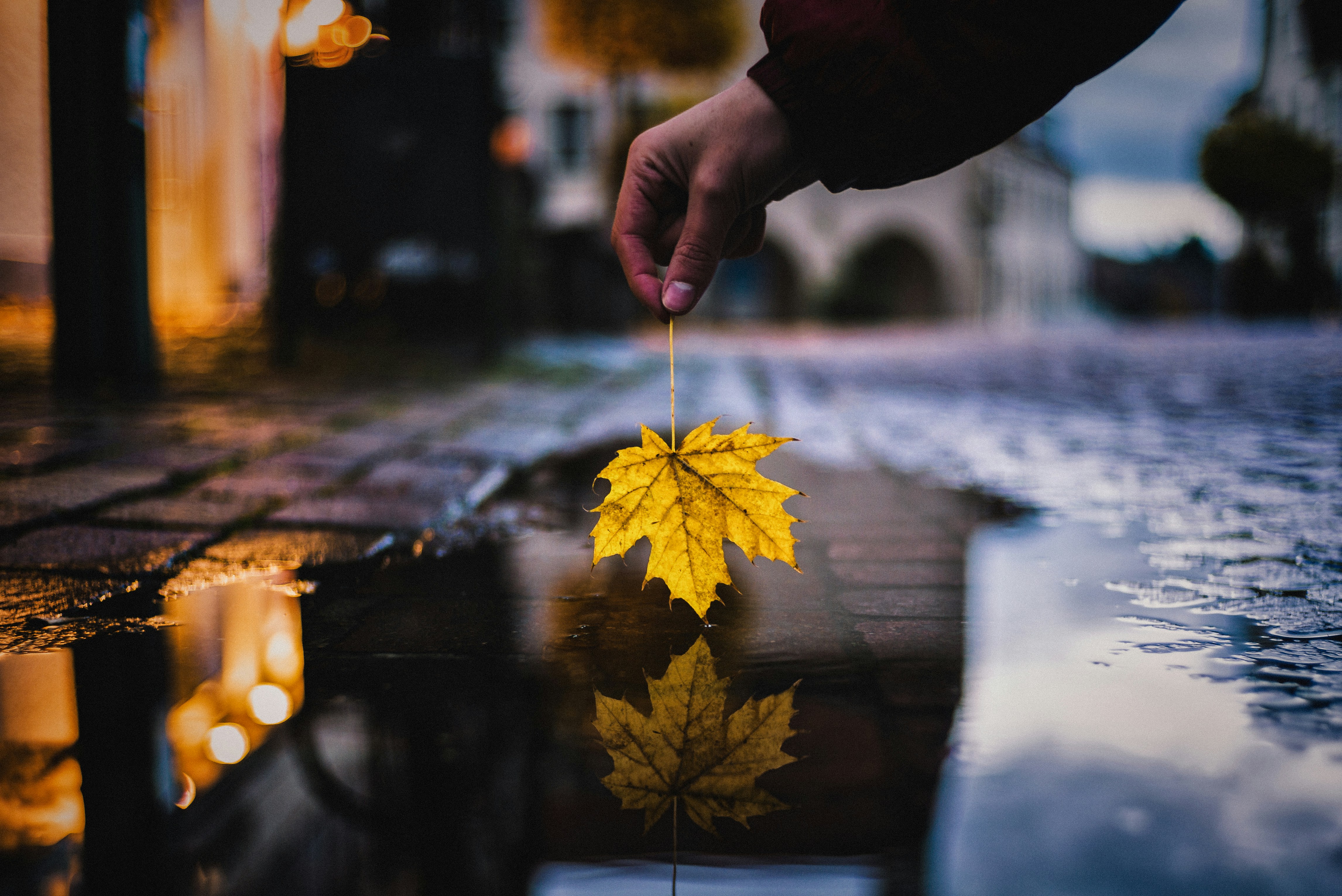 Hand holding a yellow maple leaf over a puddle on a cobblestone street, capturing its reflection.