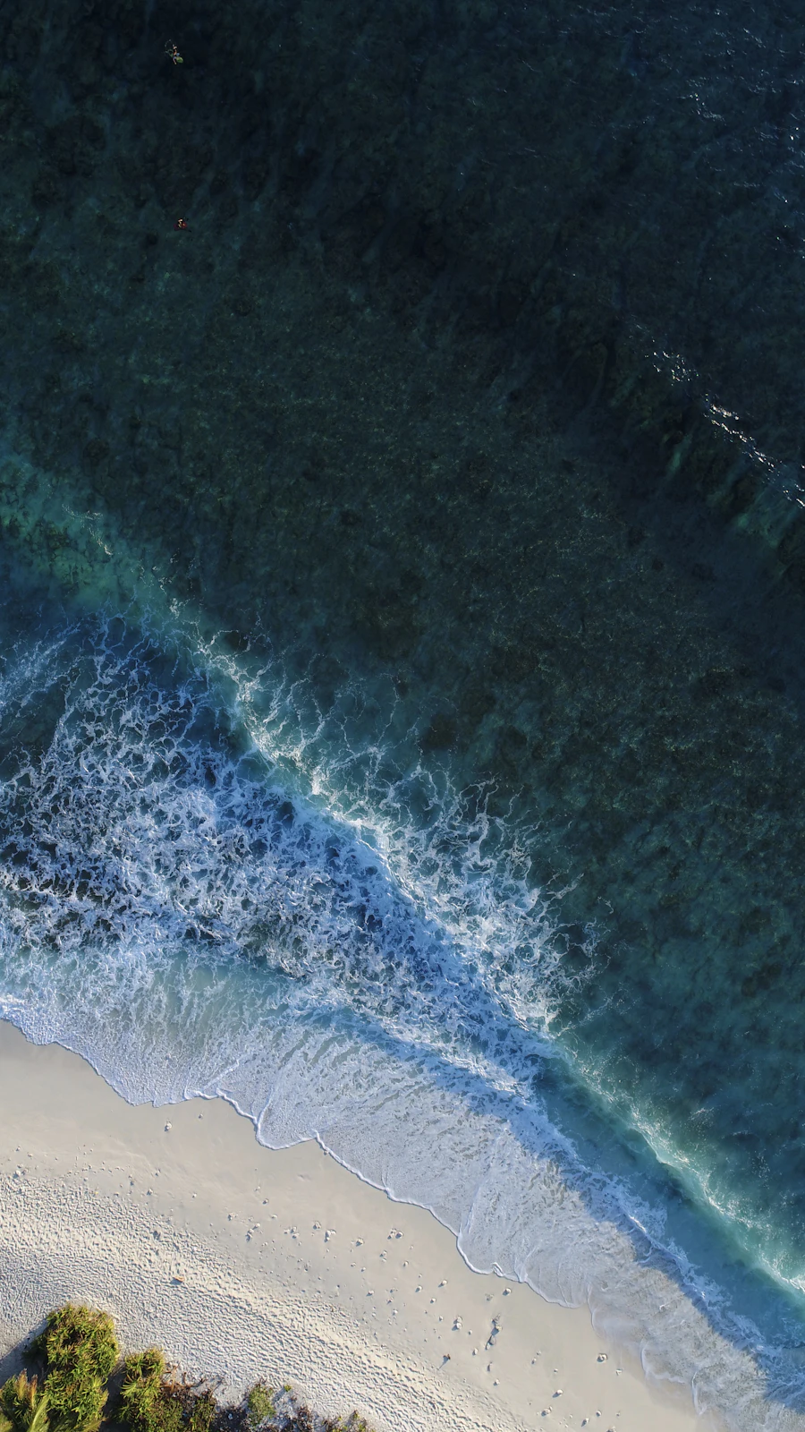Top-down view of dark teal ocean waves breaking into white foam along a pale sandy beach, with a small strip of vegetation at the lower left. Two tiny swimmers are visible in the water.