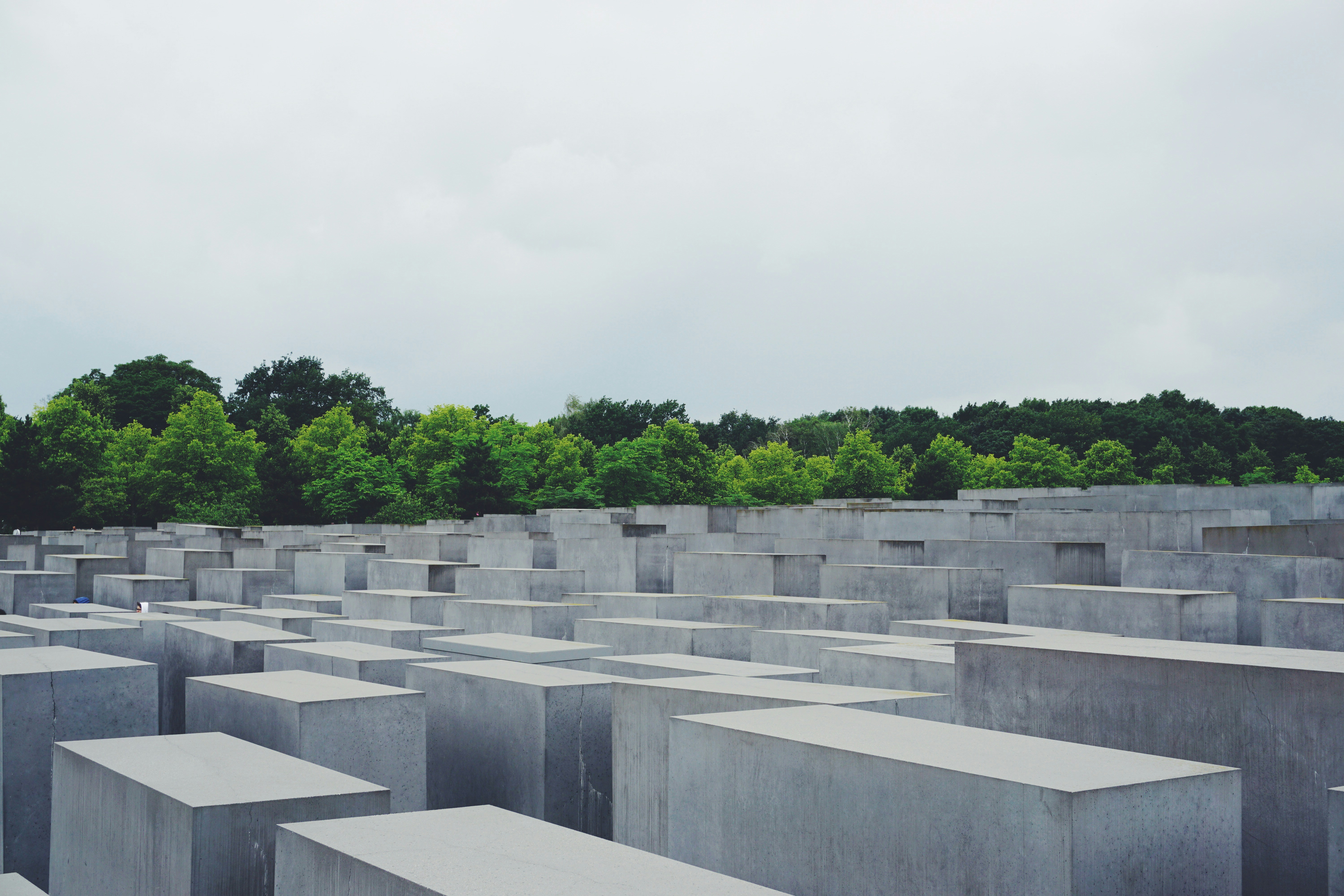 Gonard Fluit (@gonardfluit) | Unsplash Photo Community