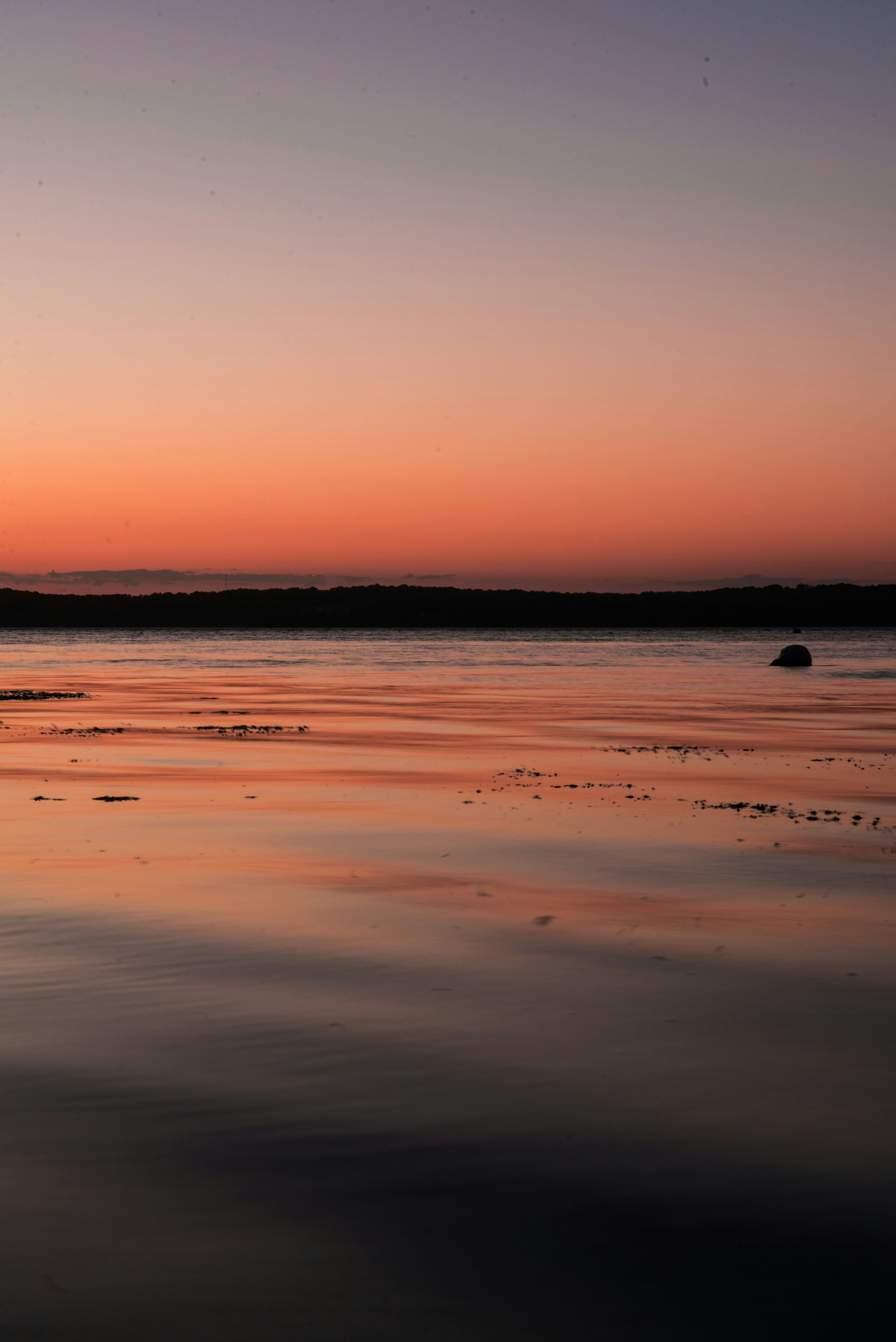 Imágenes de Olas Rojas | Descarga imágenes gratuitas en Unsplash
