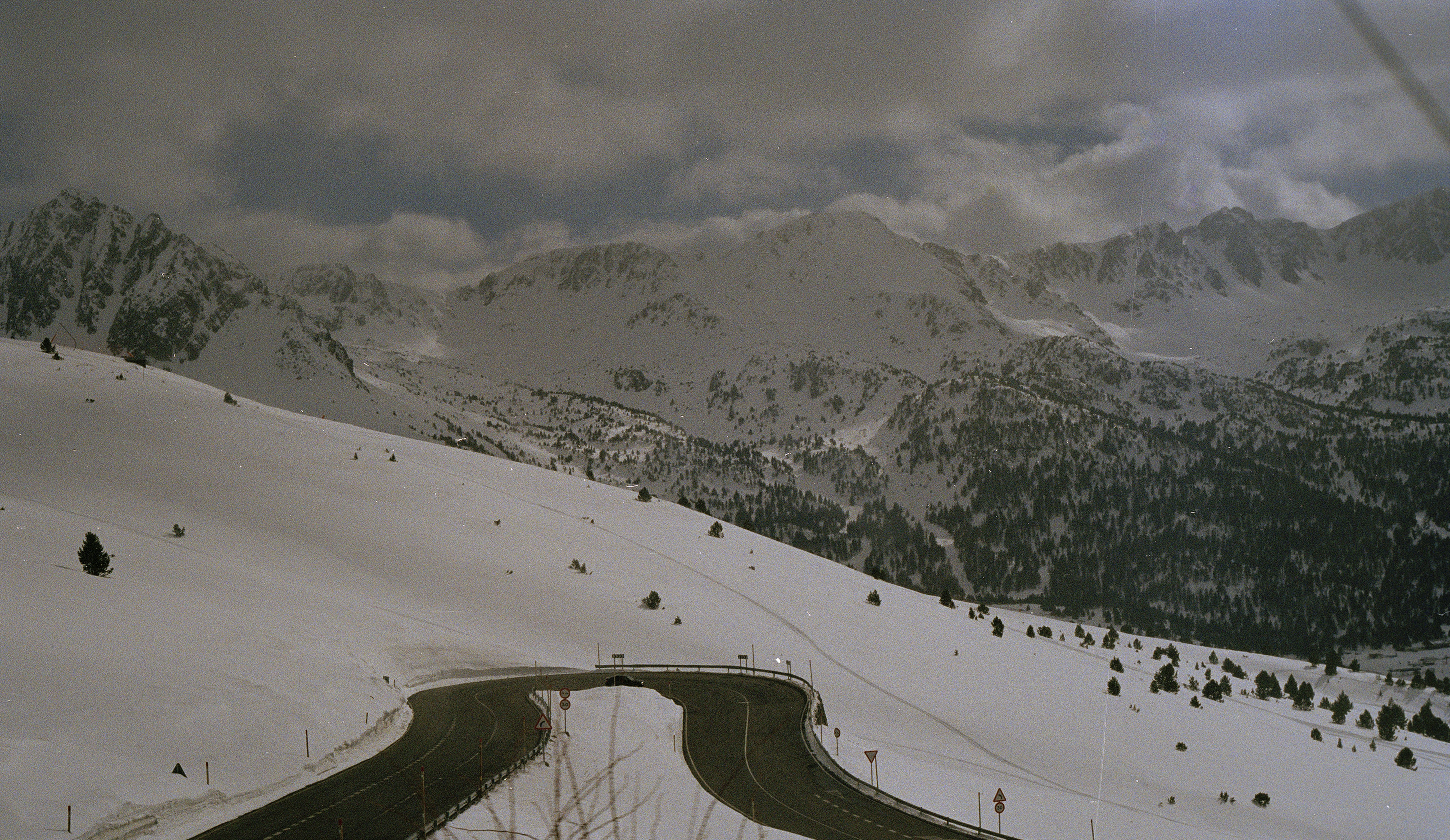 Jazmin Ali (@jazminali) | Unsplash Photo Community