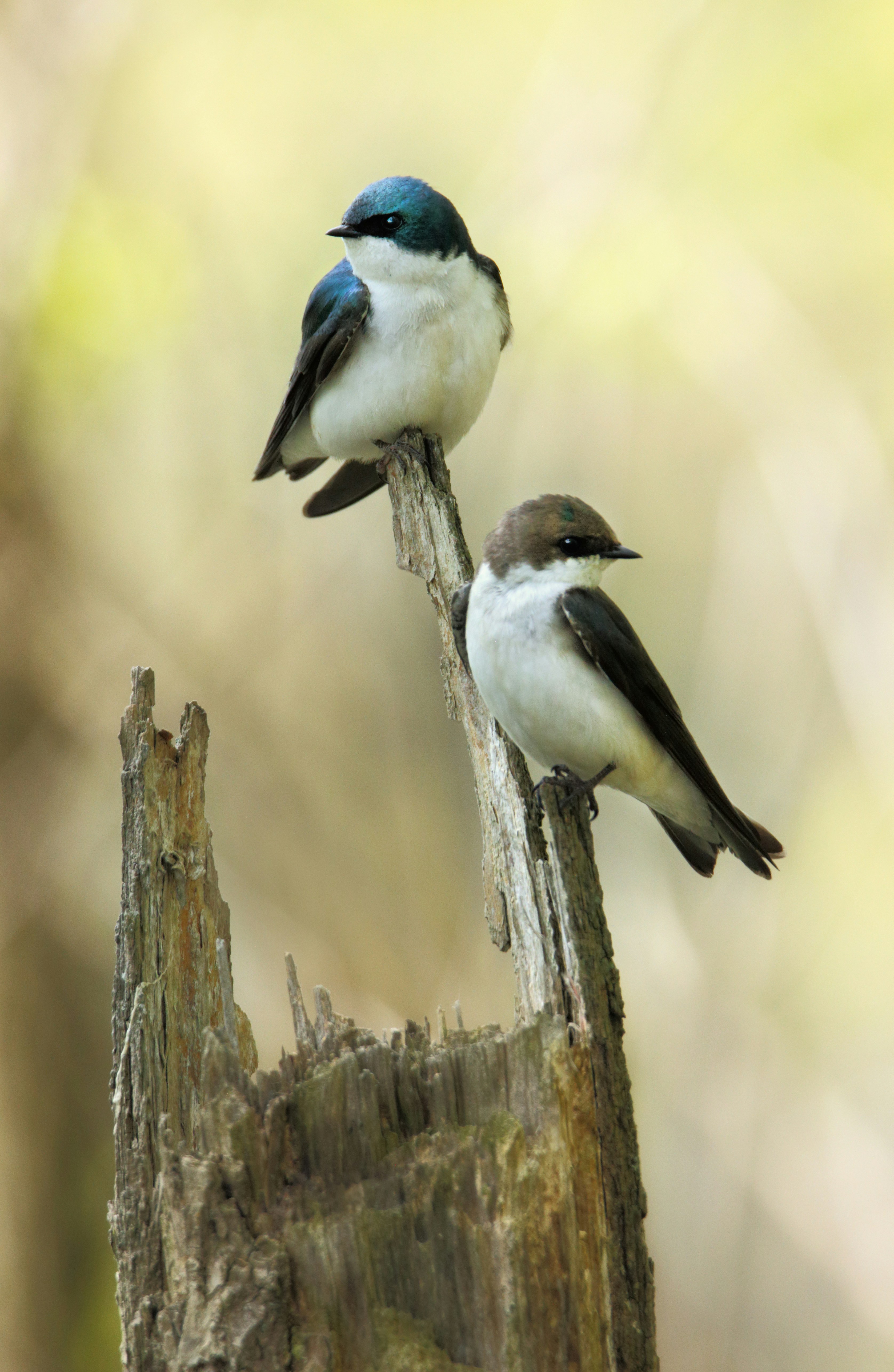 Gary Bendig (@kris_ricepees) | Unsplash Photo Community