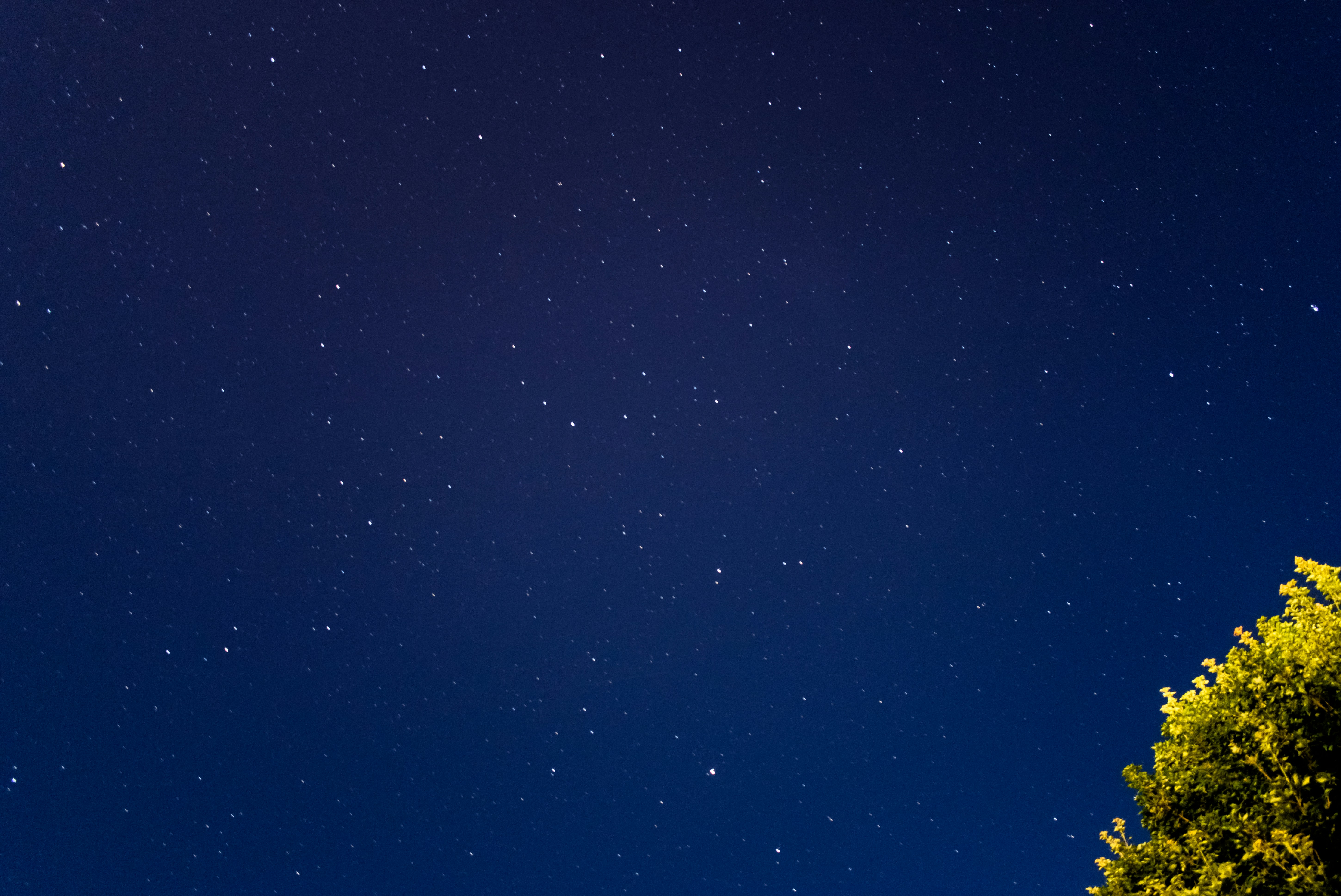 Définition de scintiller | Dictionnaire français