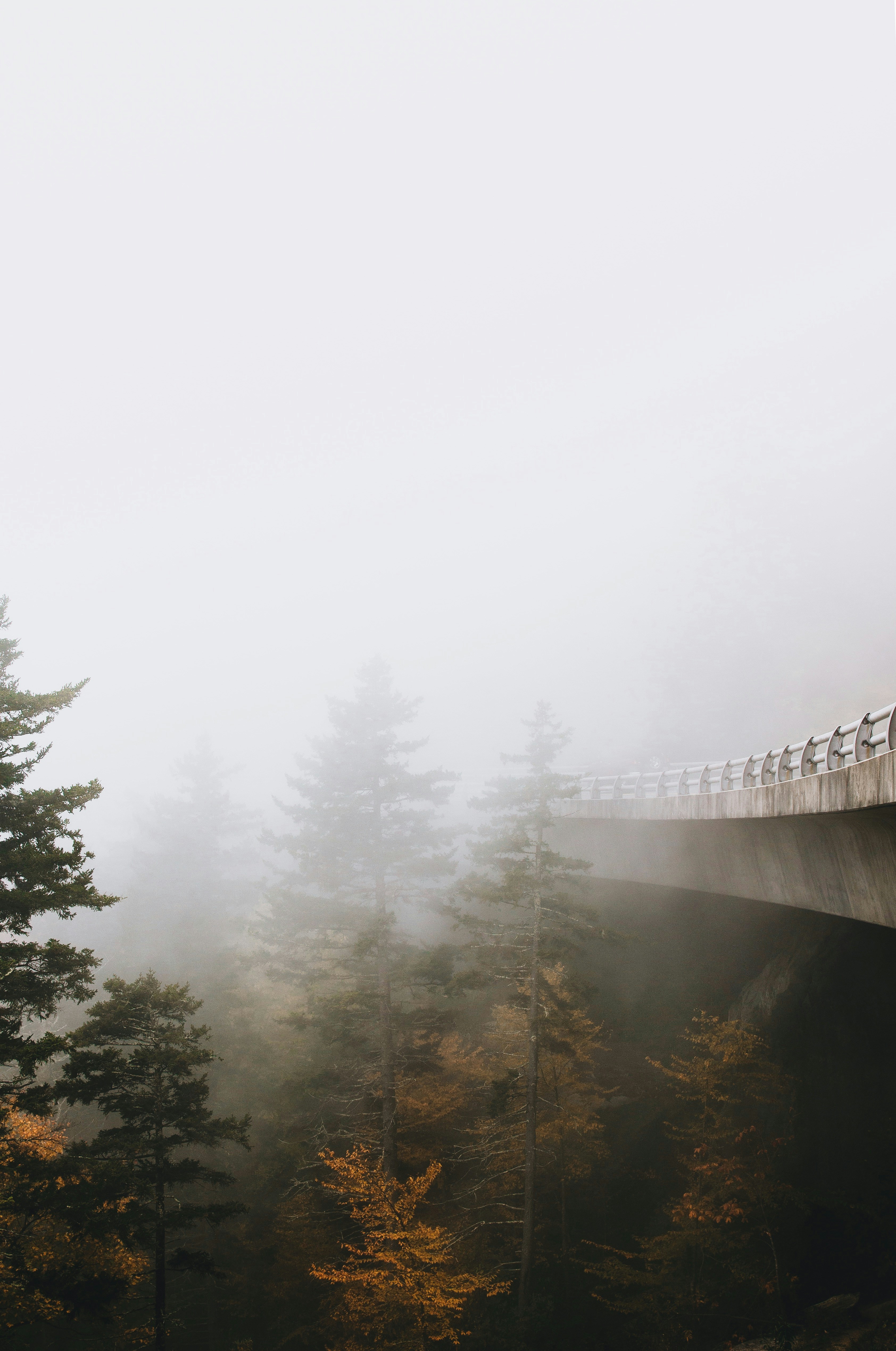 Fog | 30 best free fog, outdoor, forest and wallpaper photos on Unsplash