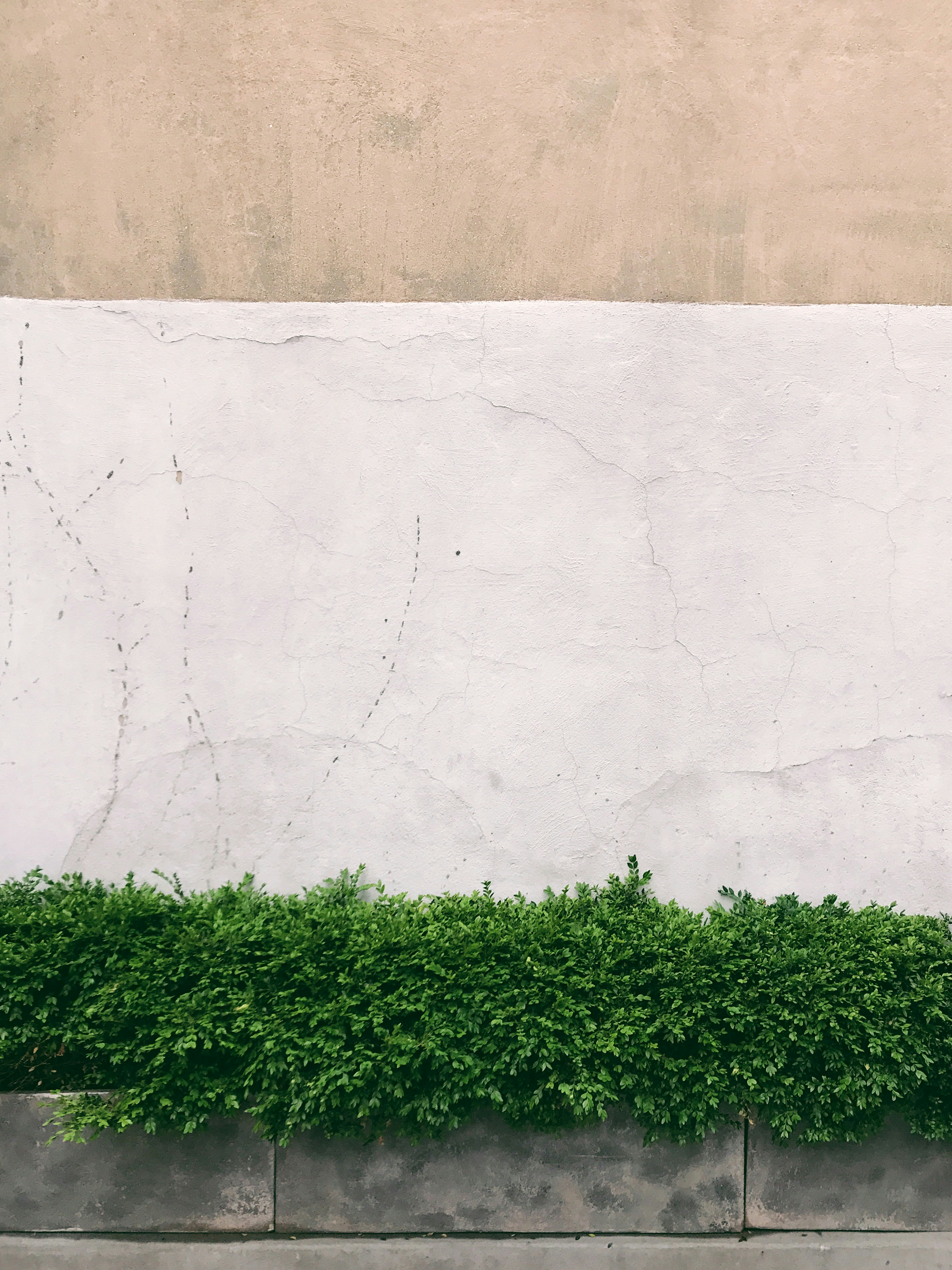 OUR HEDGE OF PROTECTION IS GOD