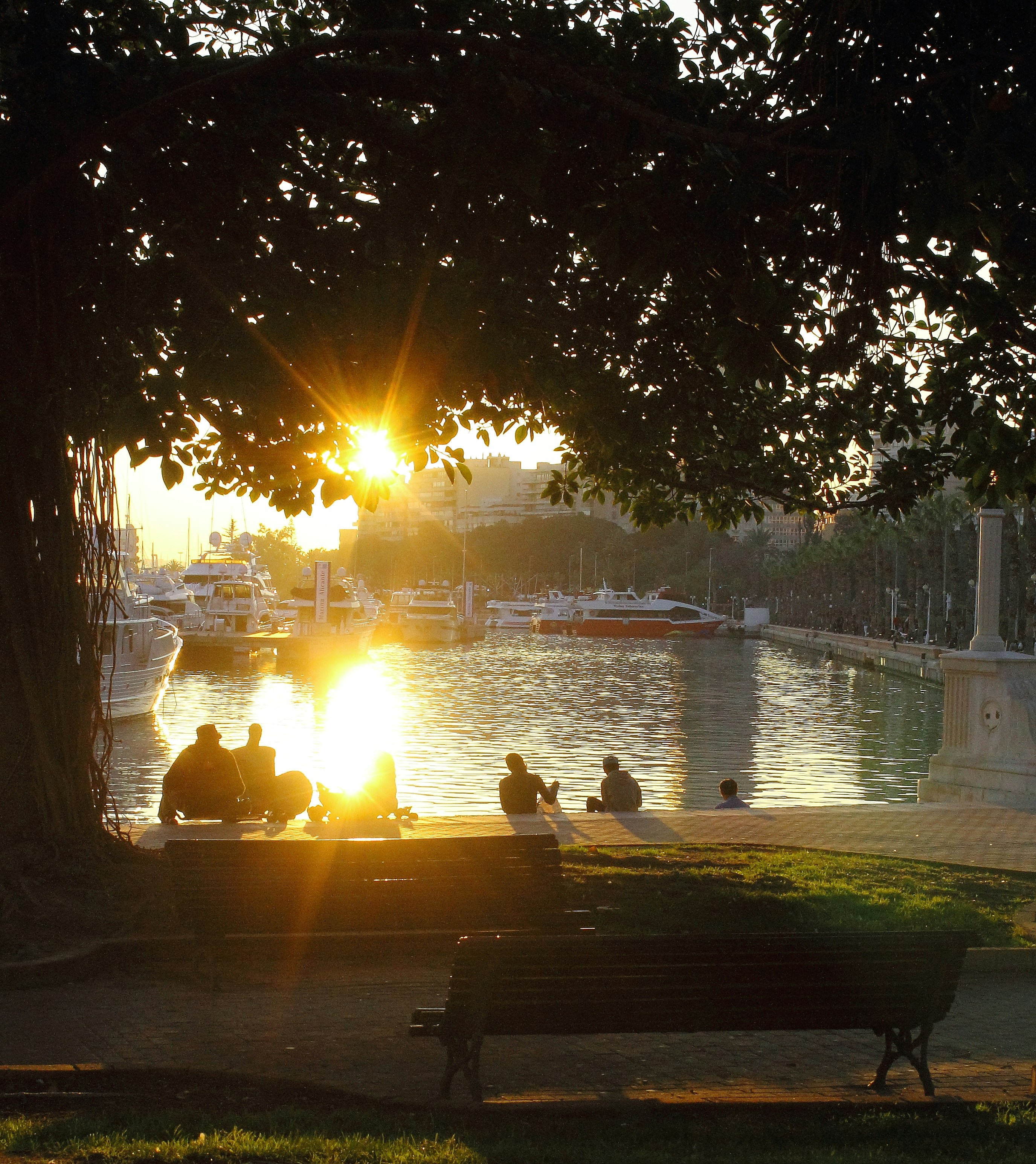 Pascal Chanel (@pc911) | Komunitas Foto Unsplash