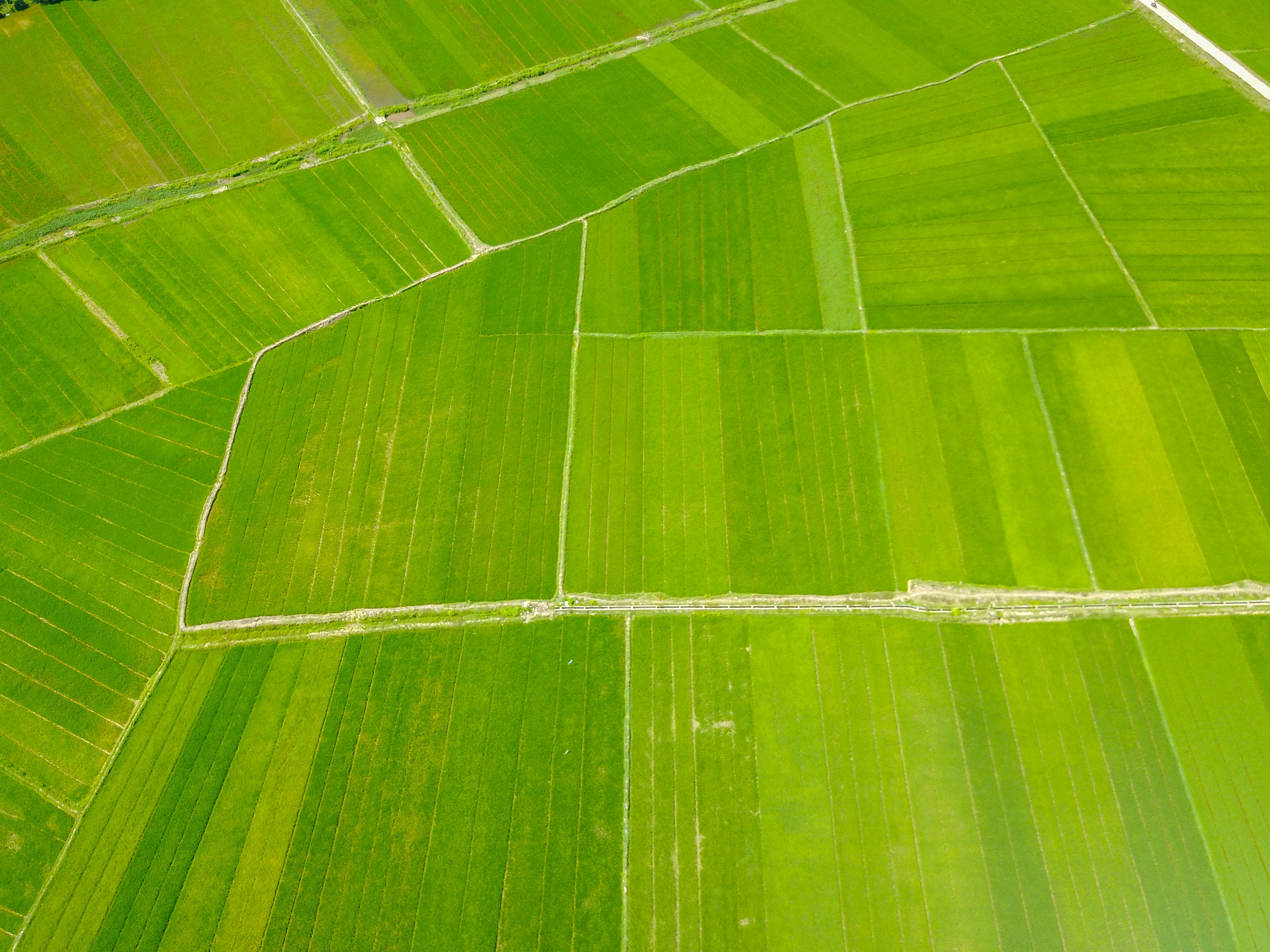 beyond the blinders | 4 best free pattern, texture, sea and wave photos ...