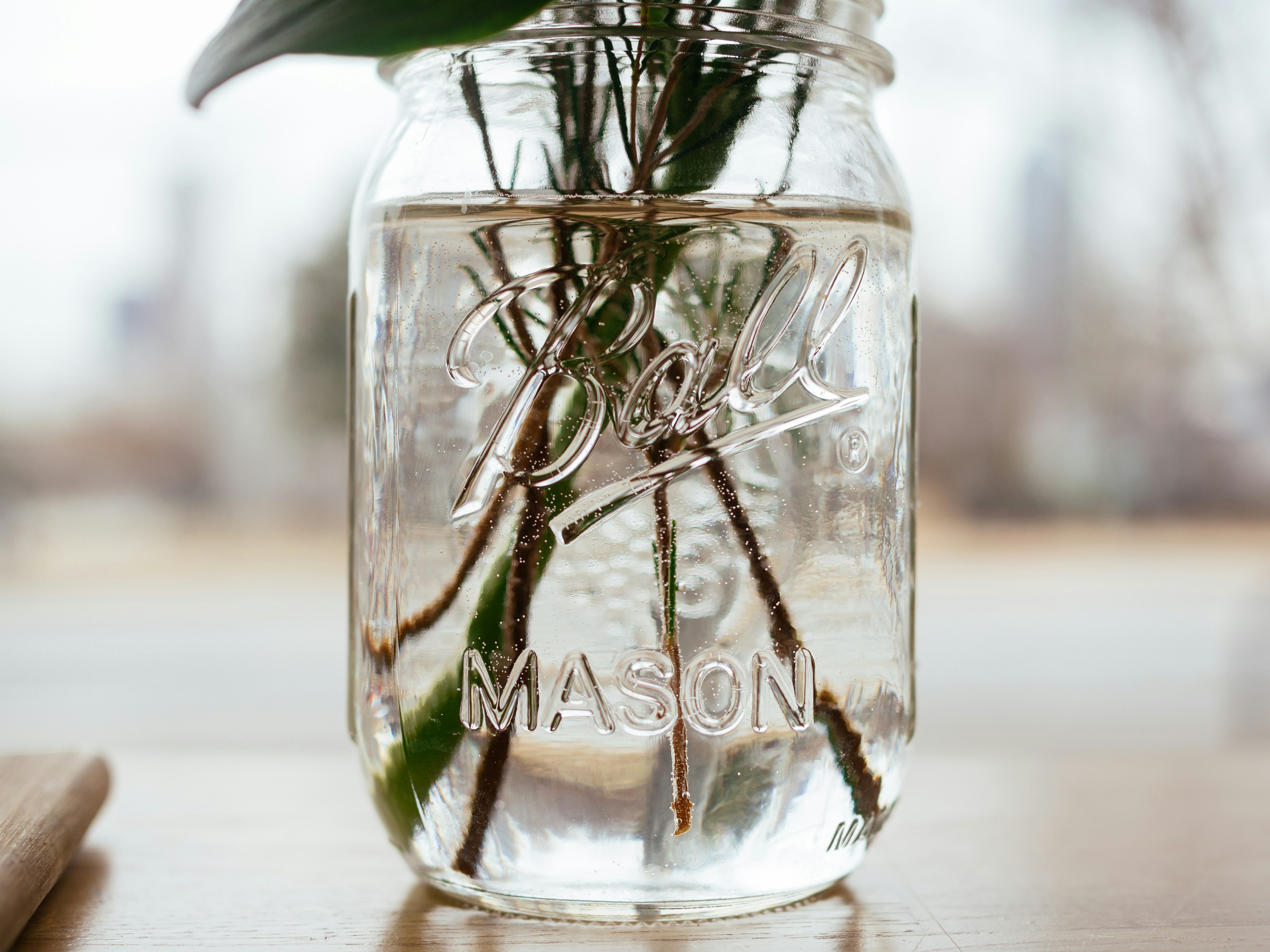 Nick Morrison (@nickmorrison) | Unsplash Photo Community