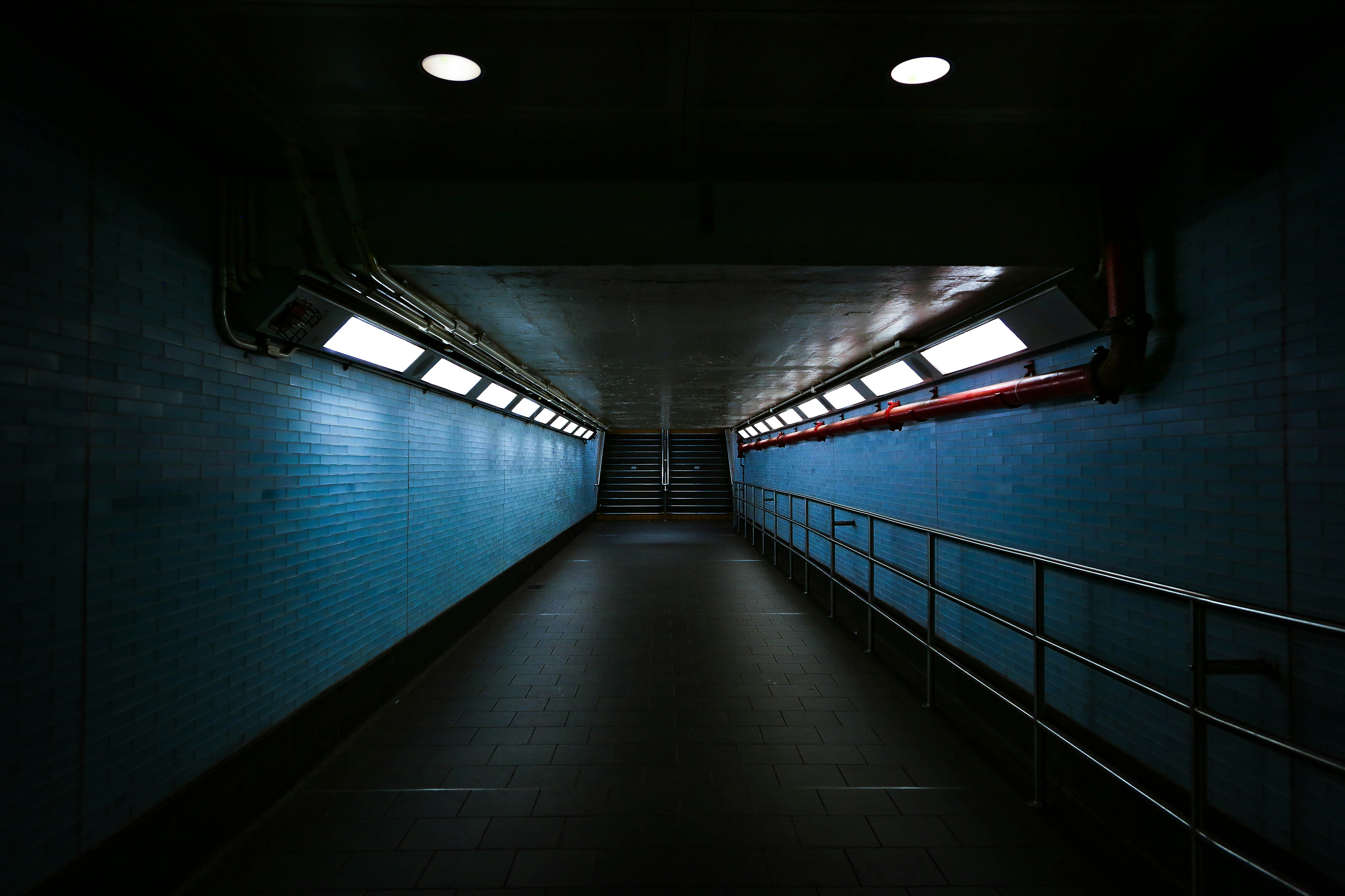 Spanish Language Skills Quiz