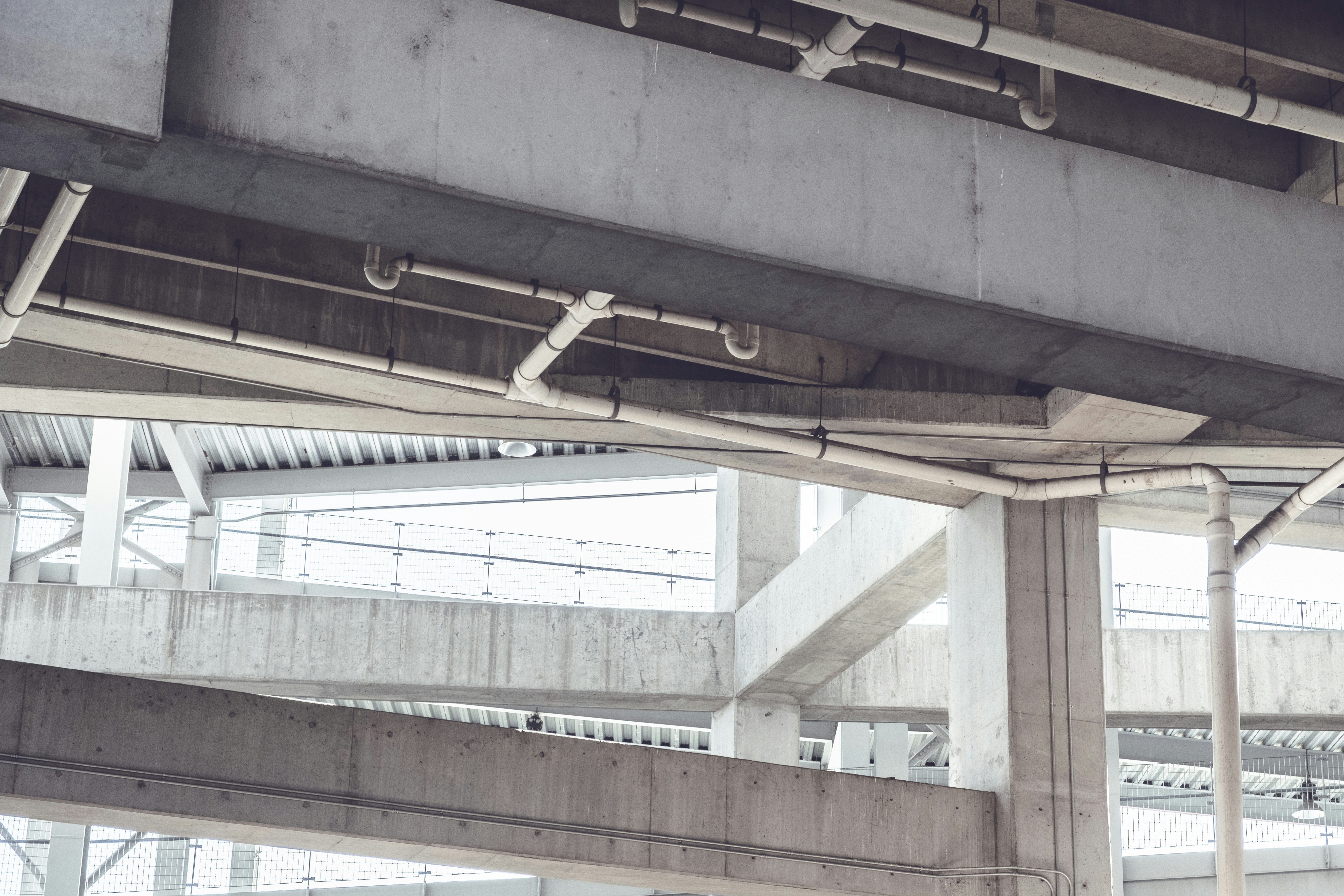 Photo by Lance Anderson