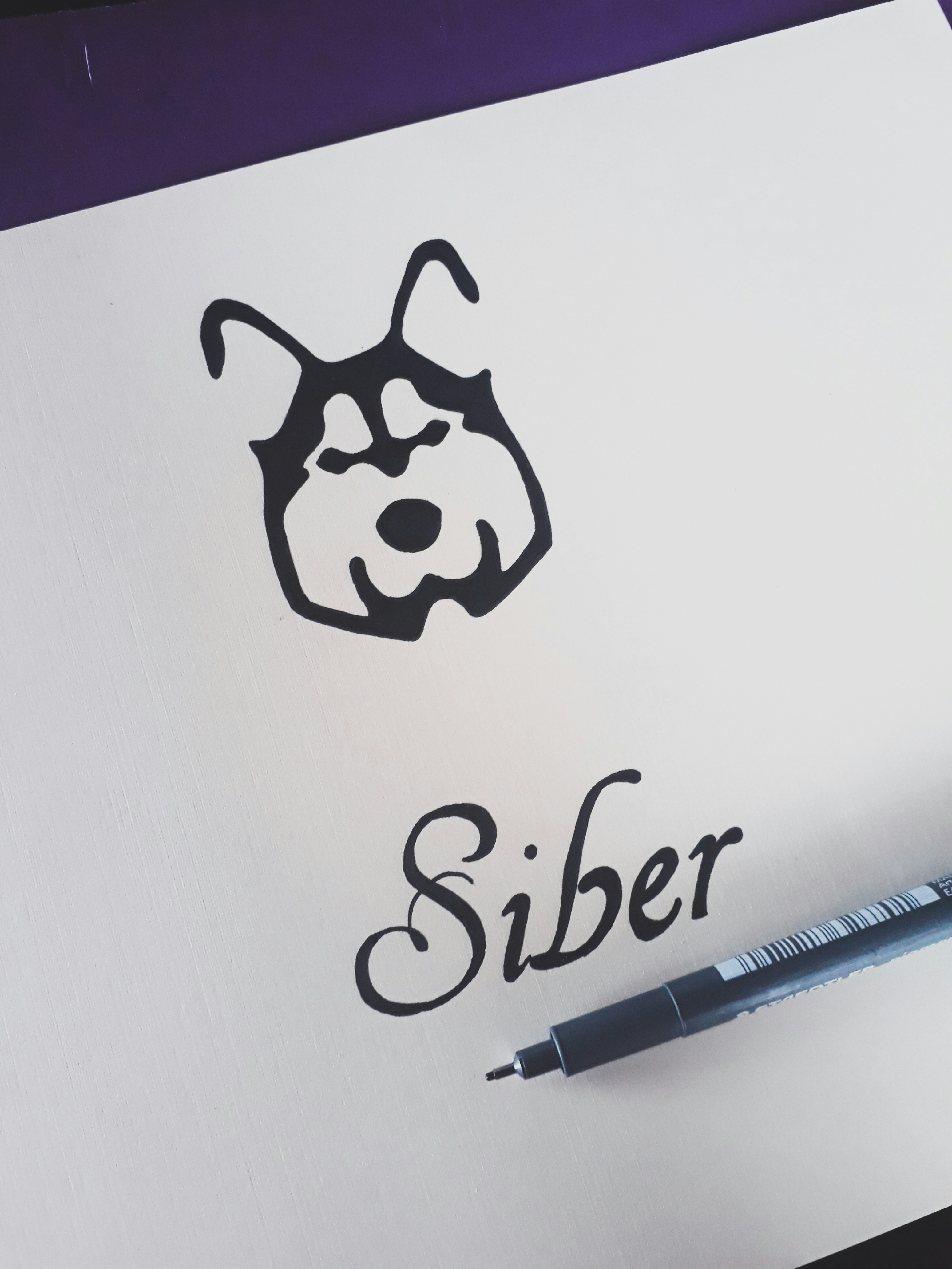 Illustration of a stylized dog face above the word 'Siber' on paper with a black pen.