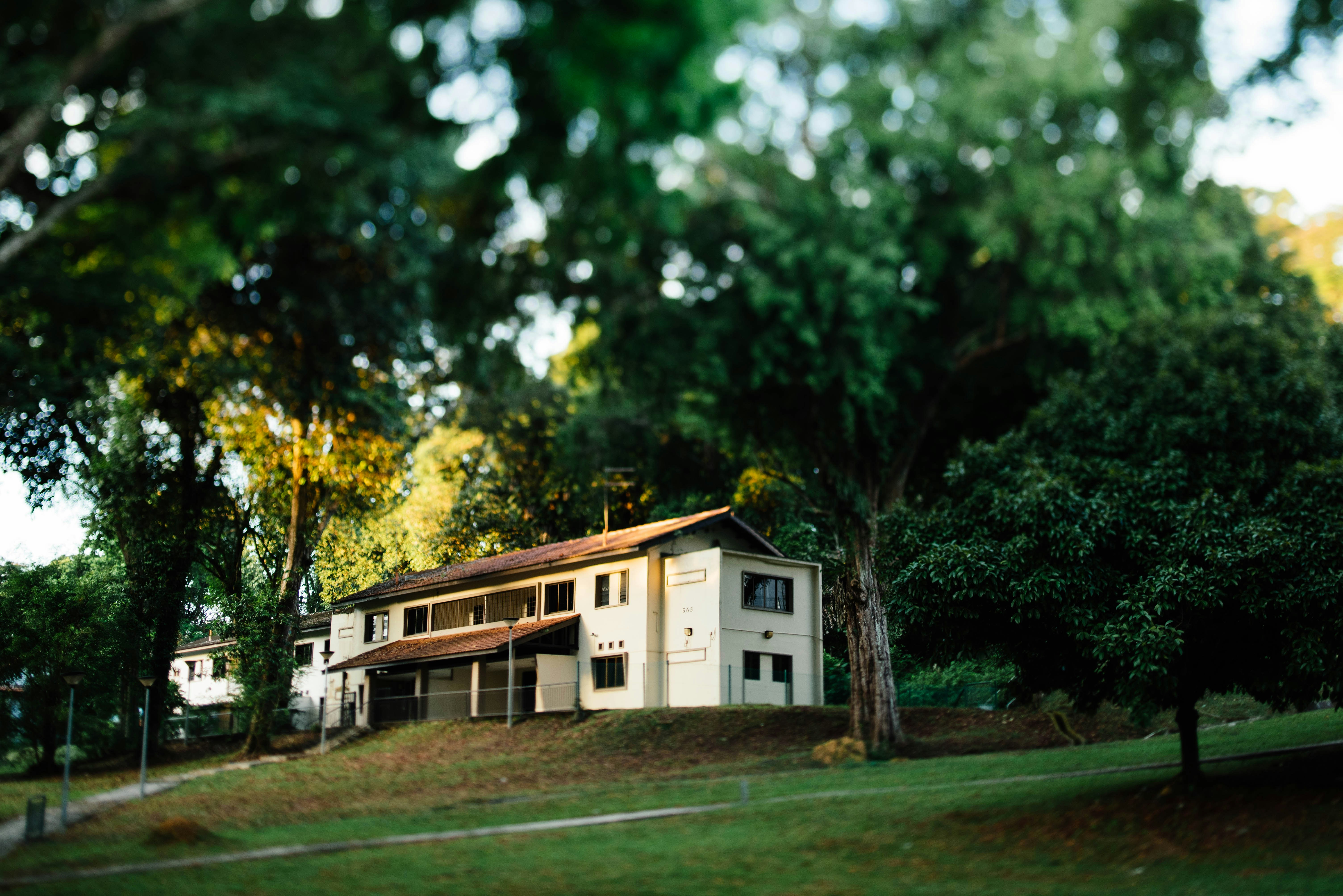 White house among trees photo – Free Plant Image on Unsplash
