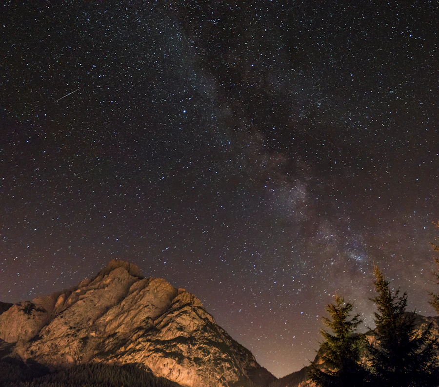 A rugged mountain glows warm under a sky filled with stars and the Milky Way. Dark pine silhouettes frame the lower right edge.