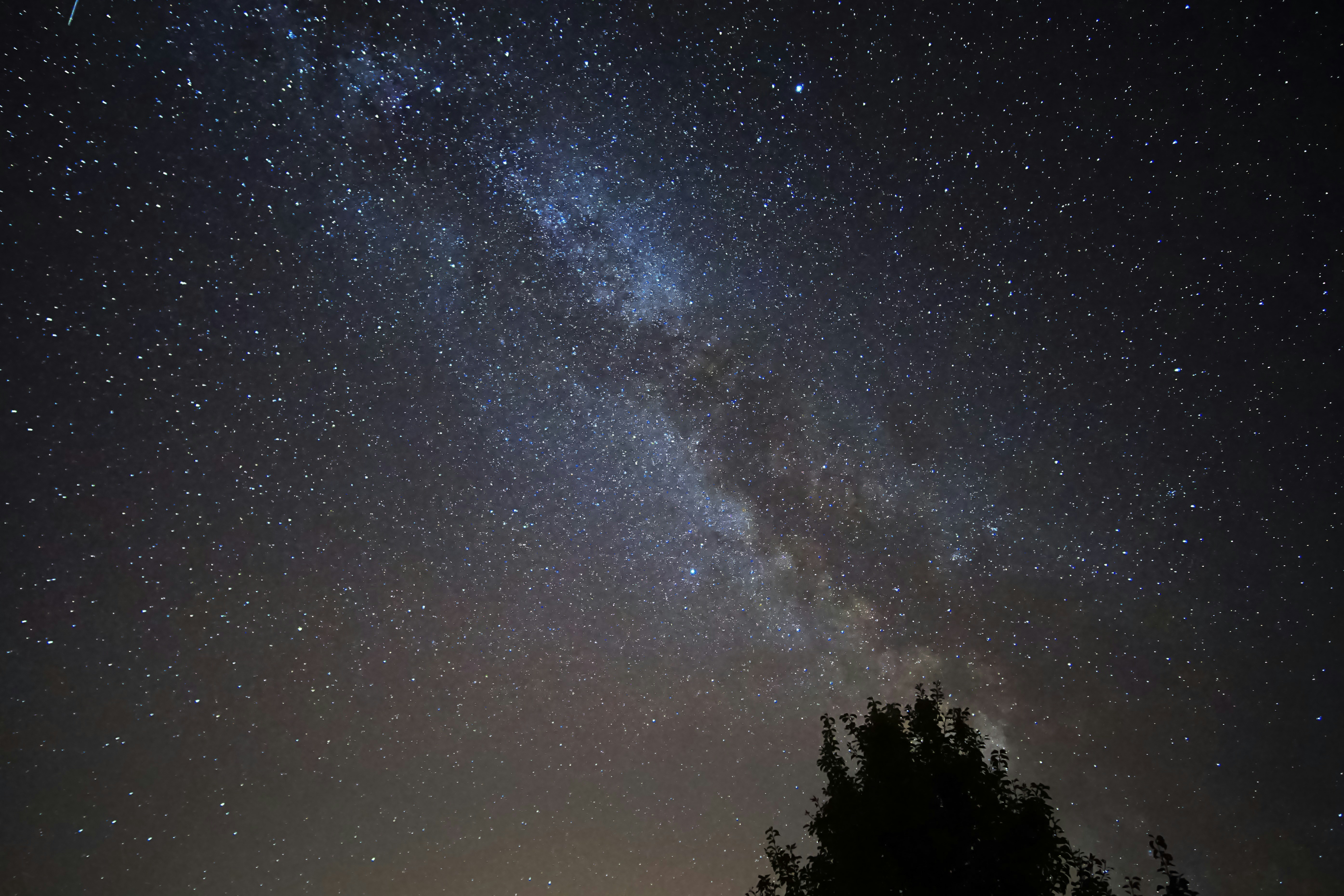 Starry night sky with the Milky Way arching above silhouetted trees.