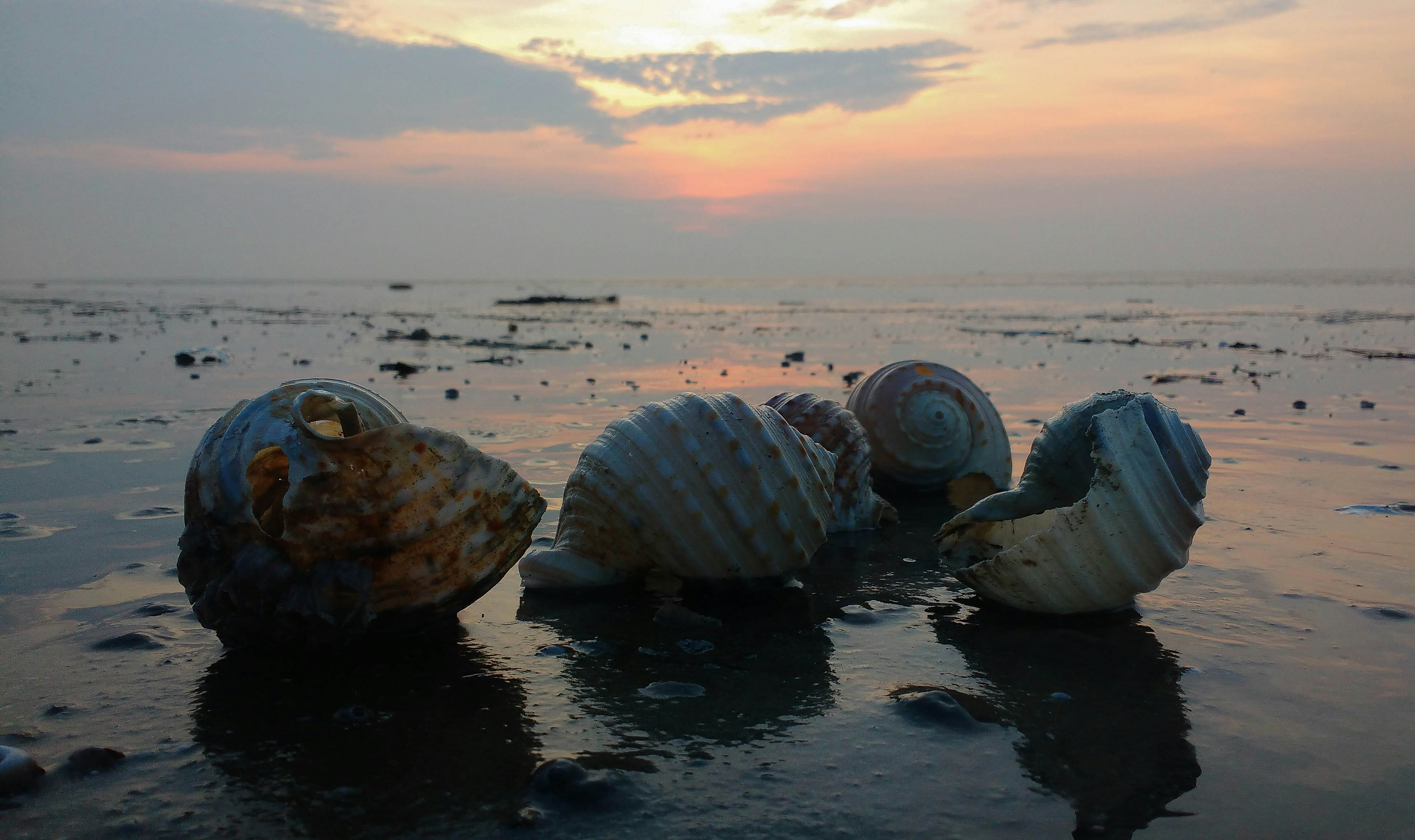 Riddhiman Bhowmik (@riddhiman) | Komunitas Foto Unsplash