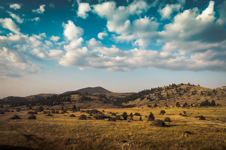Golden grassland dotted with small trees stretches toward low hills under a wide sky filled with thick, sunlit clouds.